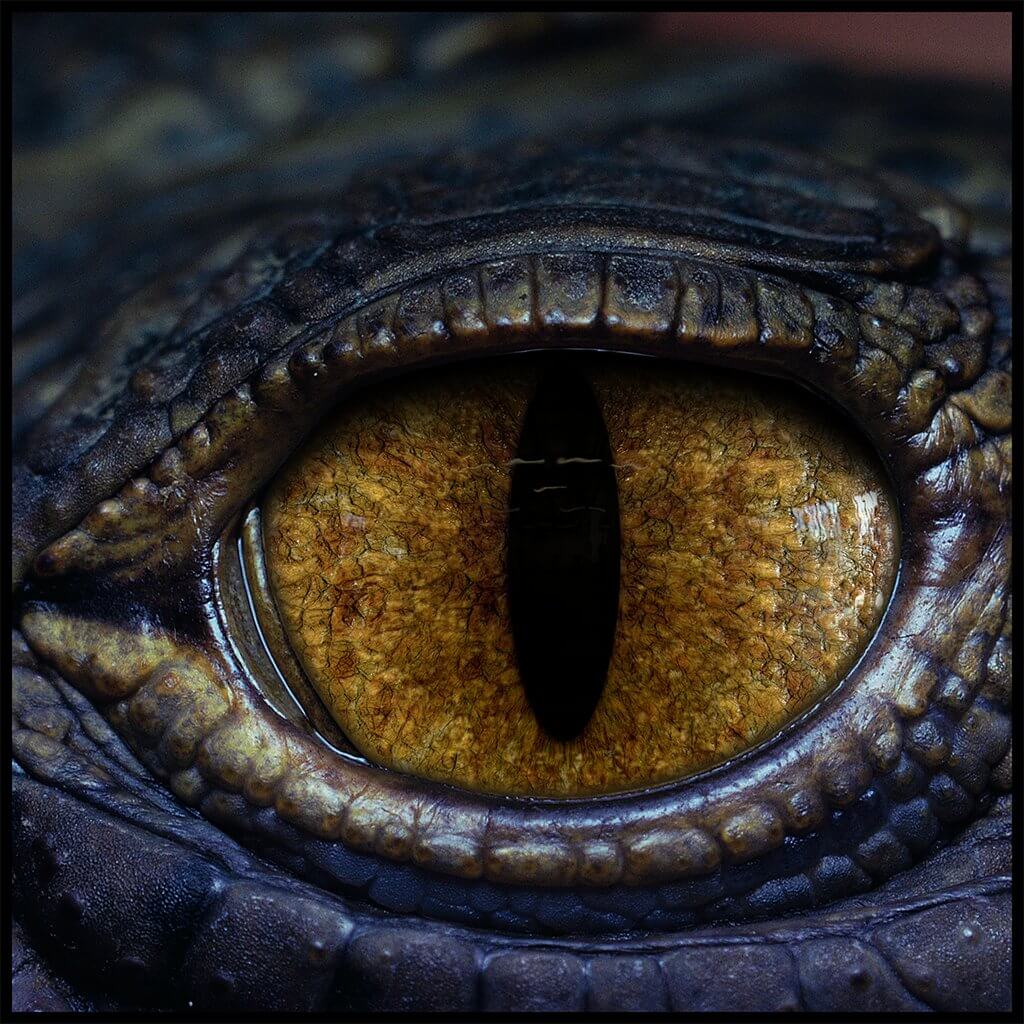 Creature Eyes Vol 06 - PBR 3D Texture by Kallie5103