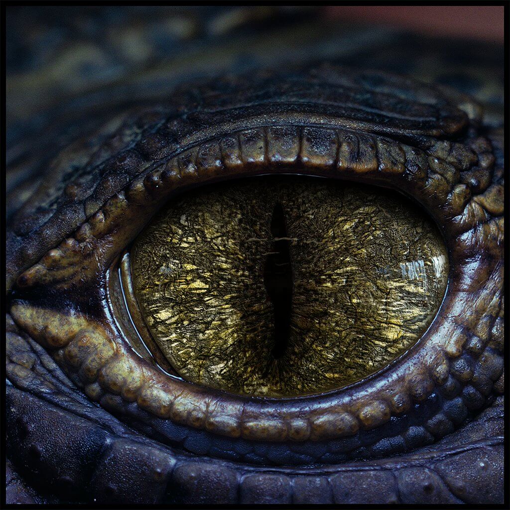 Creature Eyes Vol 06 - PBR 3D Texture by Kallie5103
