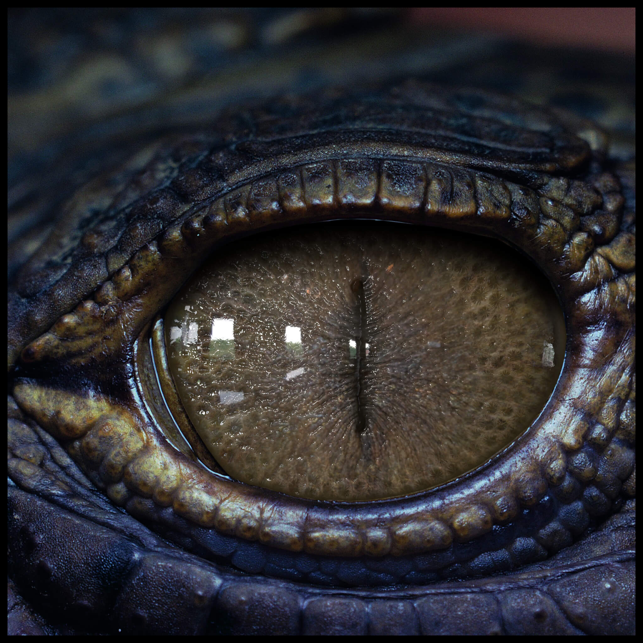 Creature Eyes Vol 07 - PBR 3D Material or Shader by Kallie5103