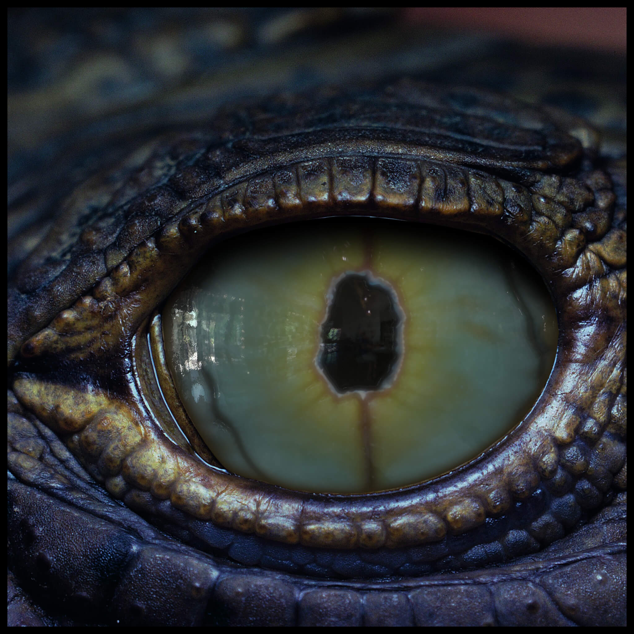 Creature Eyes Vol 10 - PBR 3D Texture by Kallie5103