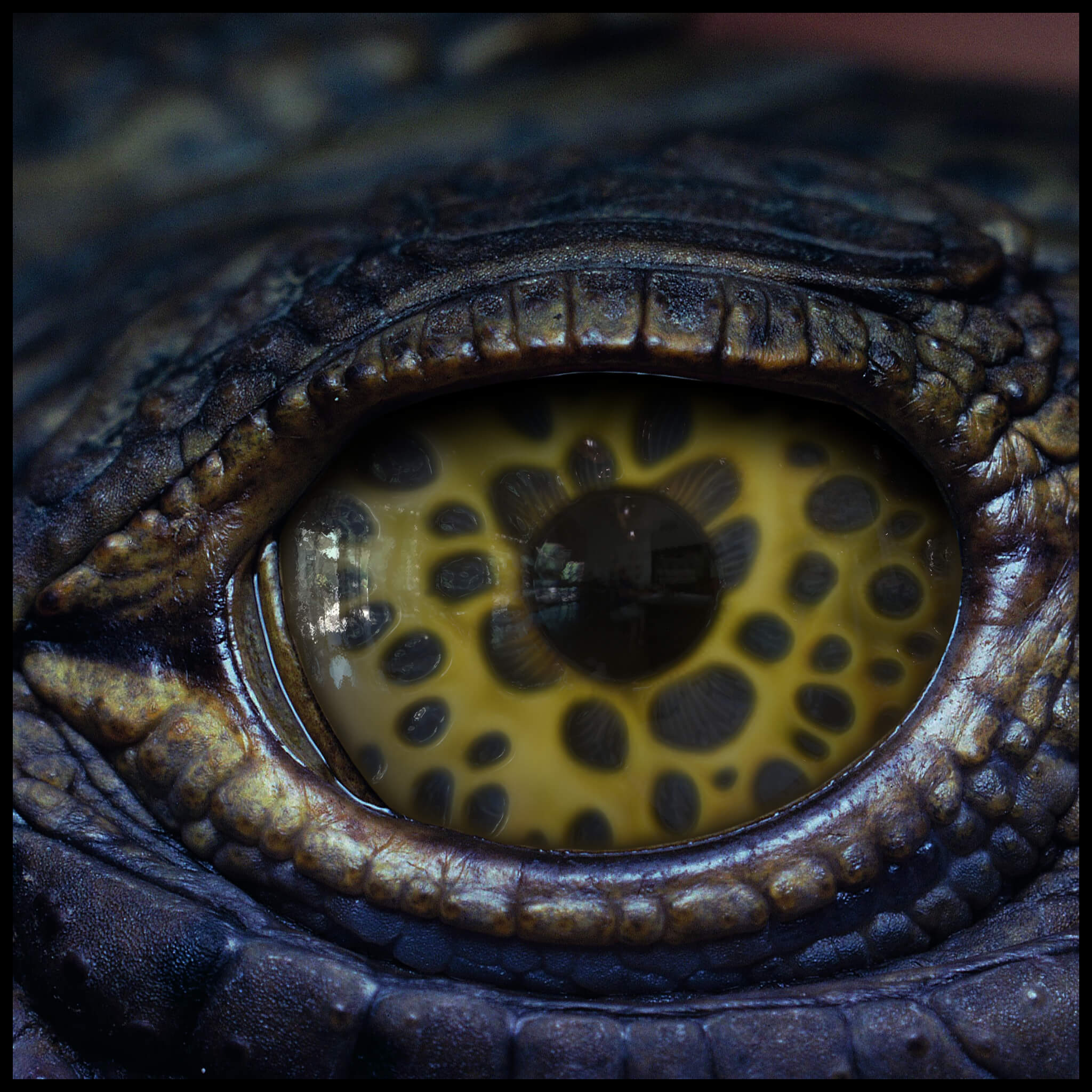 Creature Eyes Vol 10 - PBR 3D Texture by Kallie5103