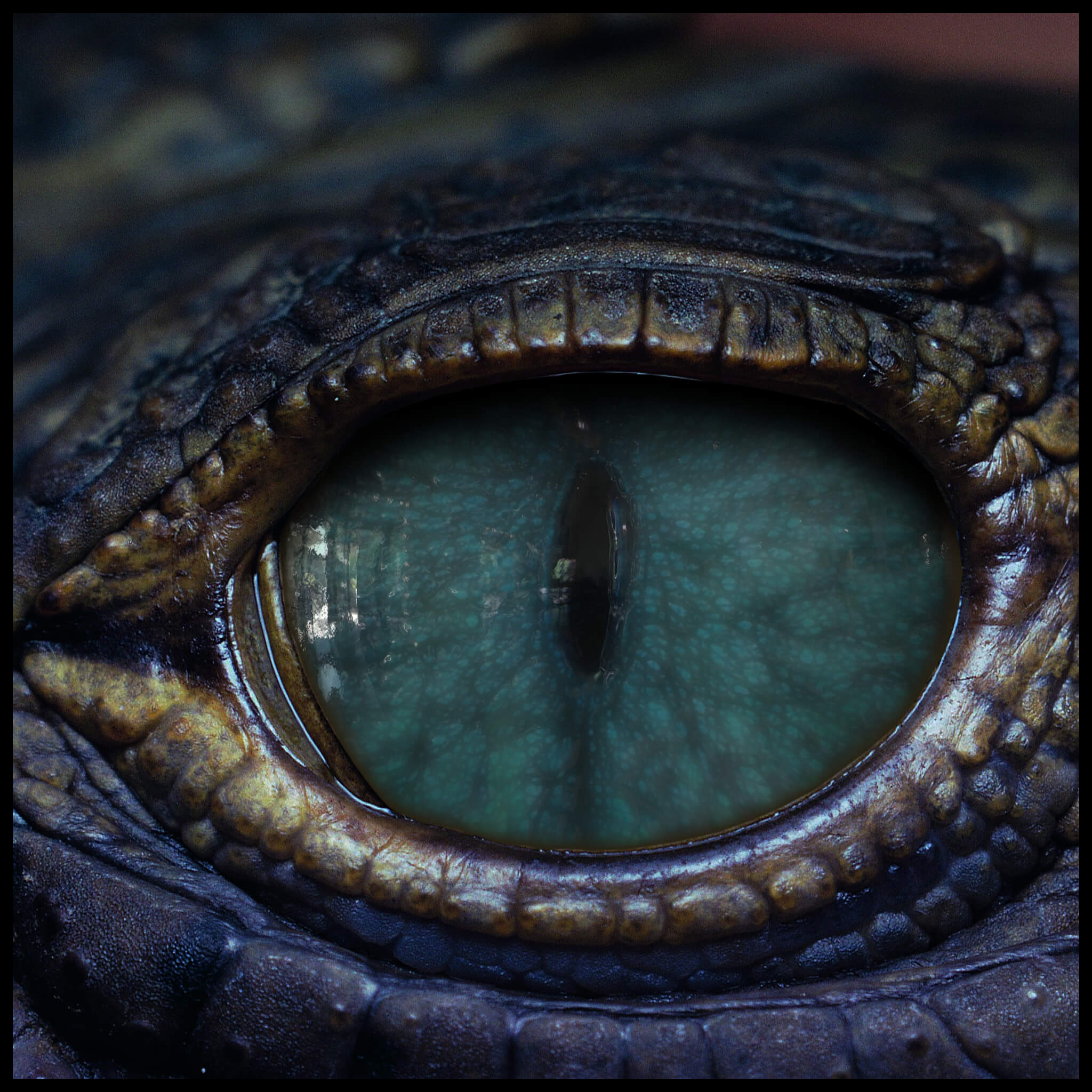 Creature Eyes Vol 10 - PBR 3D Texture by Kallie5103