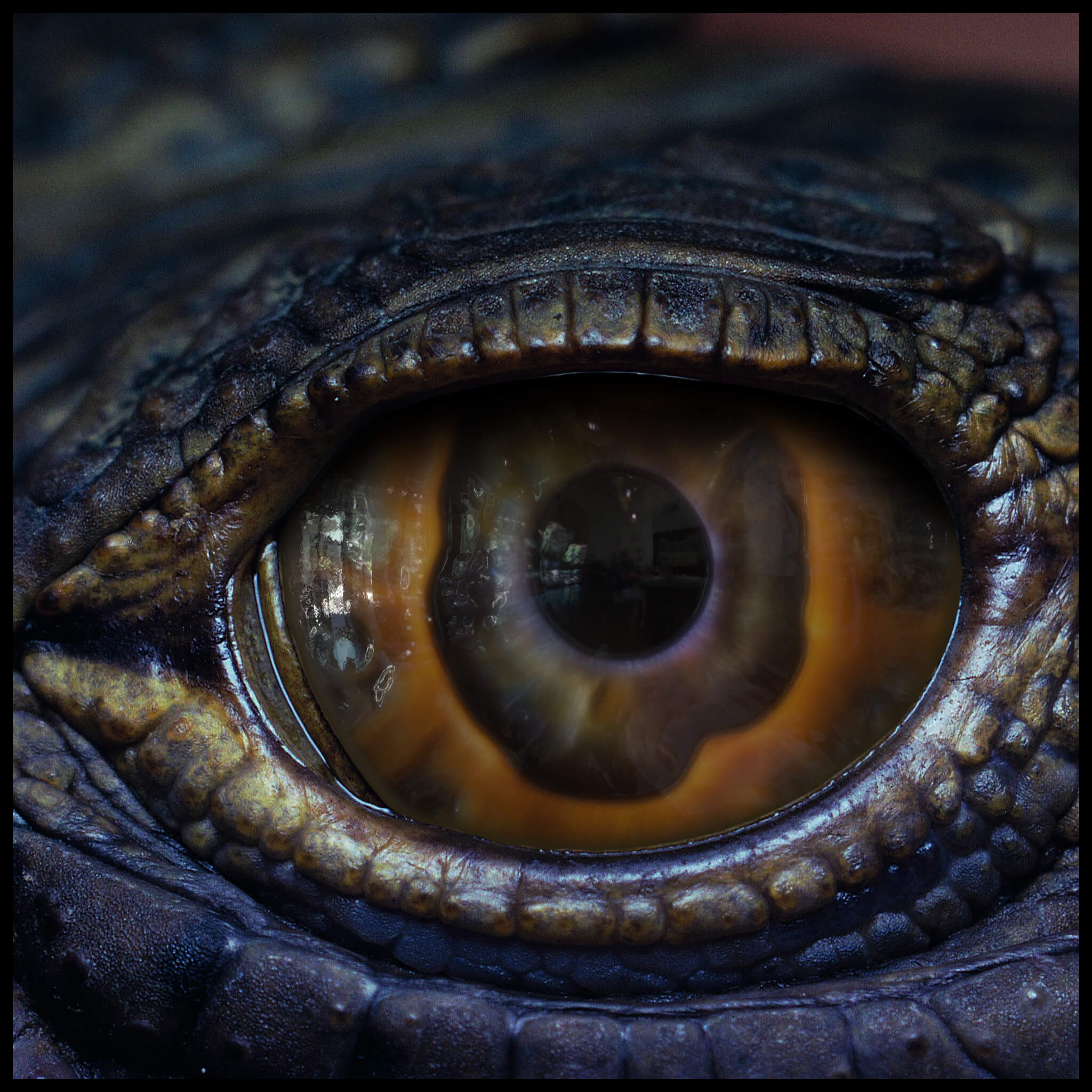 Creature Eyes Vol 10 - PBR 3D Texture by Kallie5103