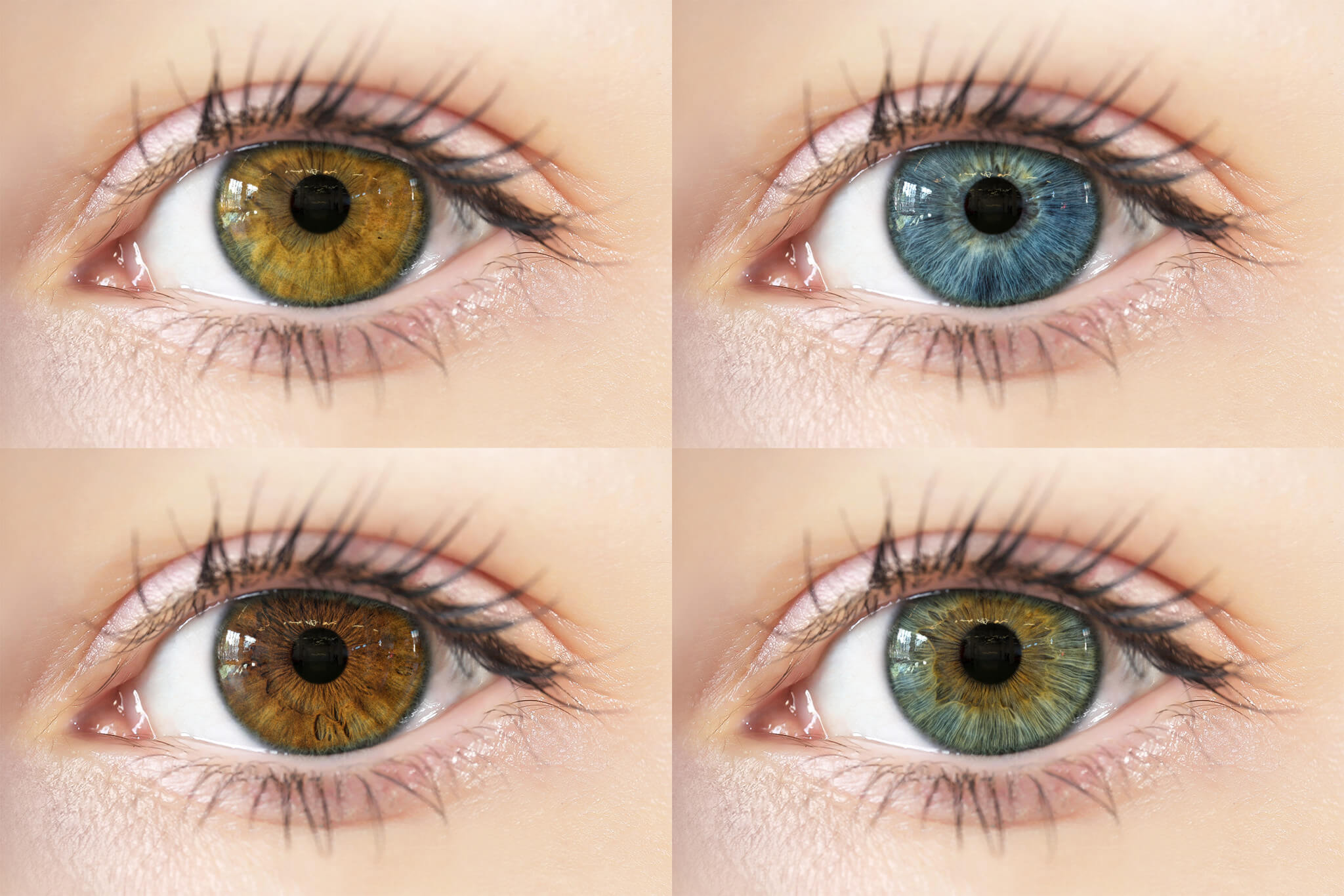 Natural Yellow Eyes Iris