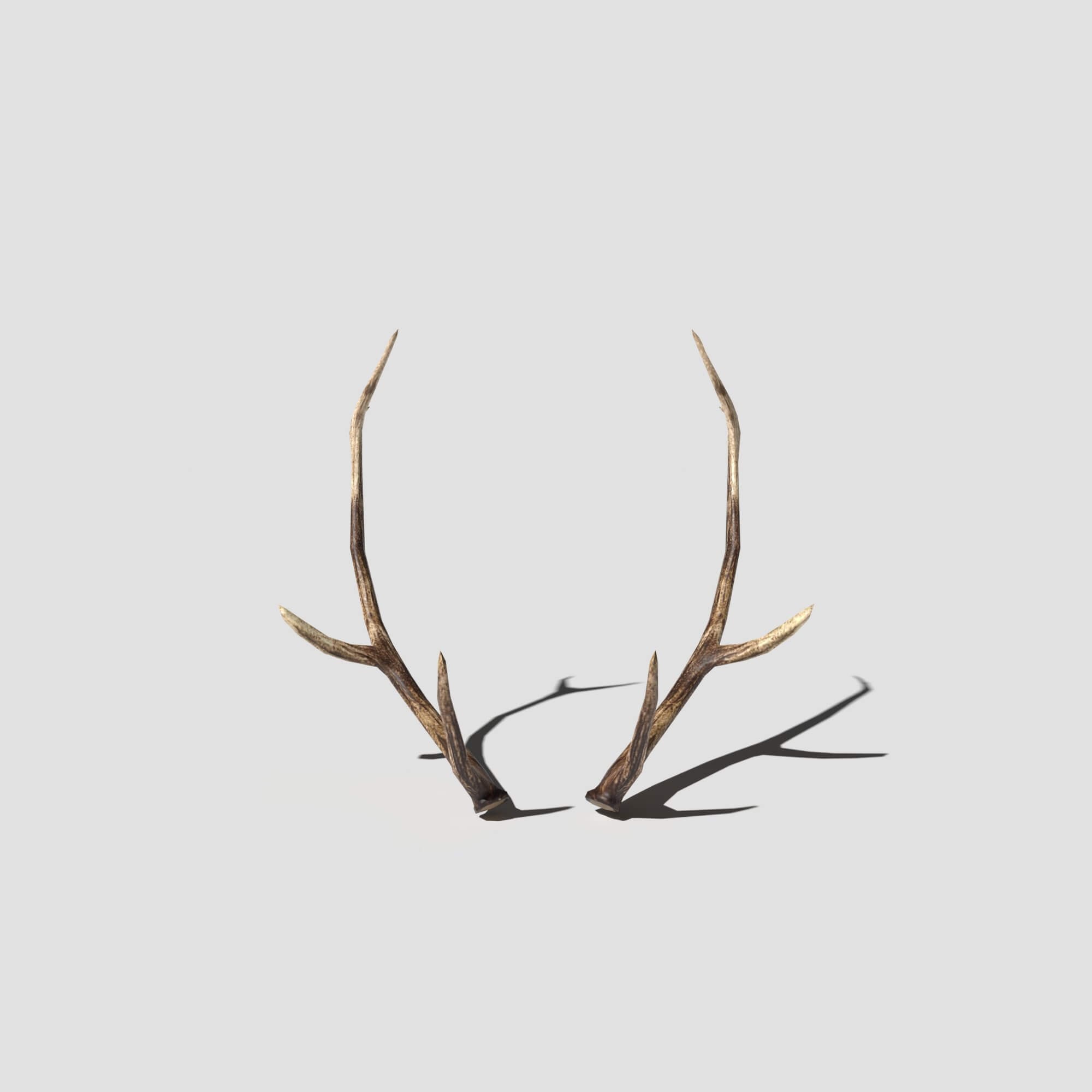 Antlers - 3D Model by kambur