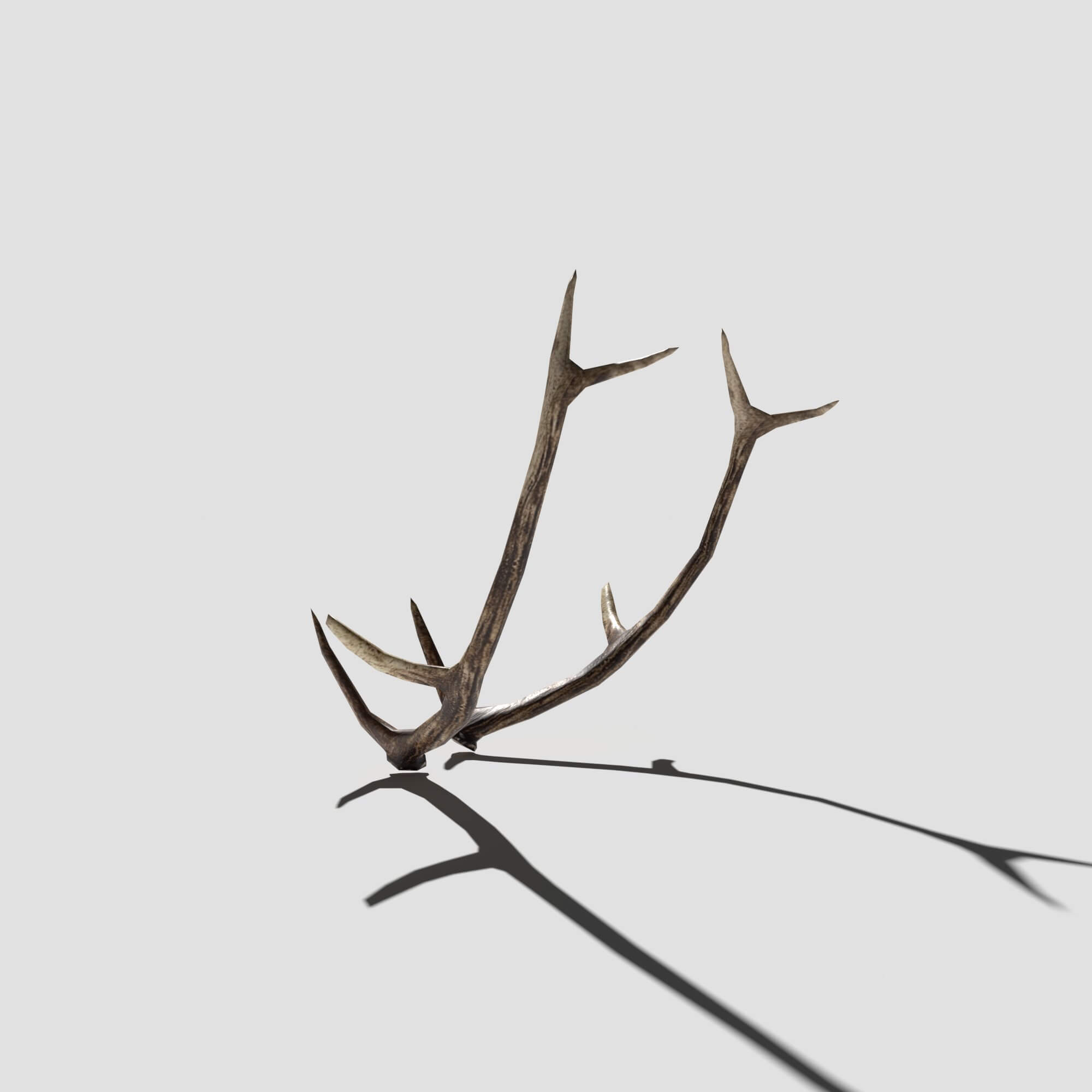 Antlers - 3D Model by kambur