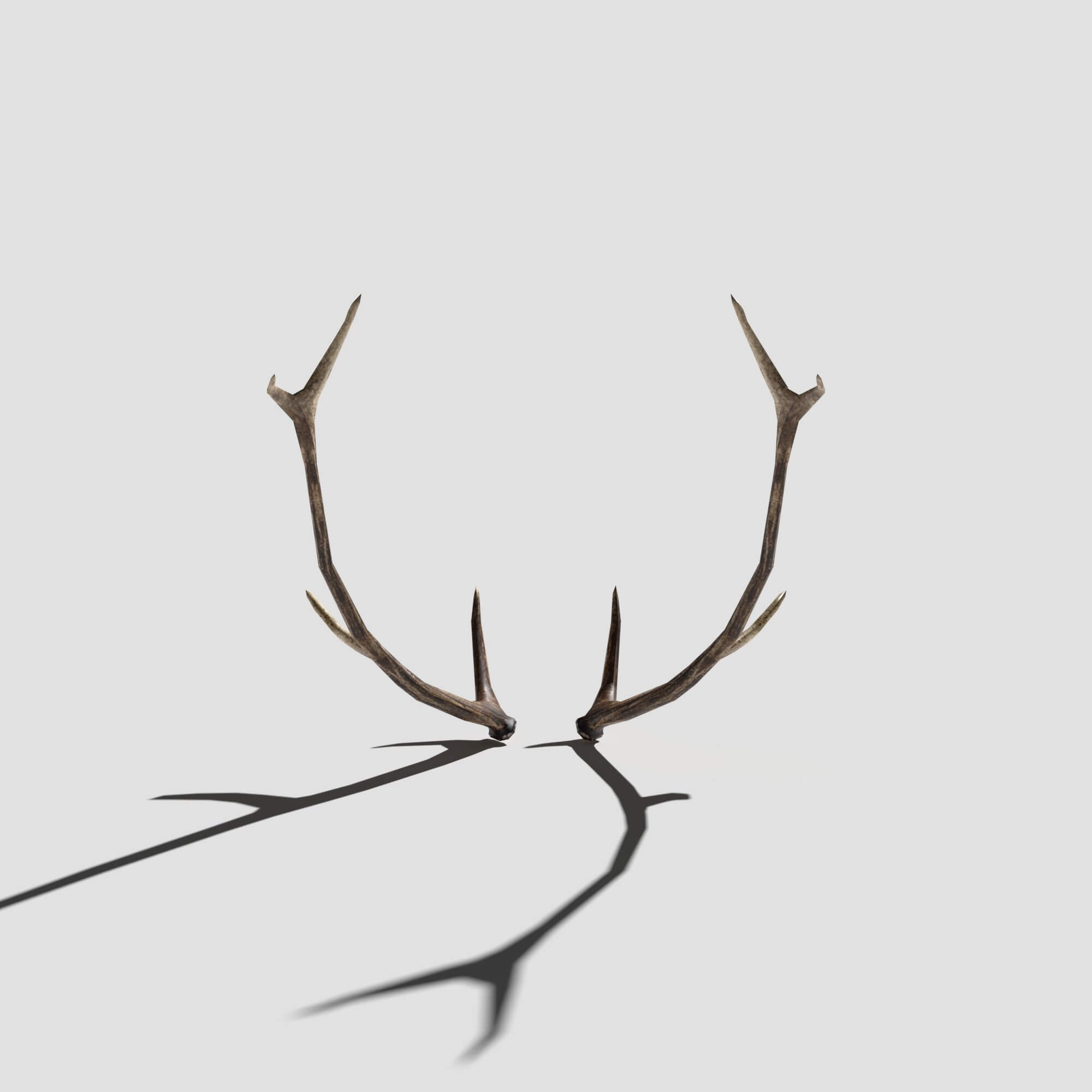 Antlers - 3D Model by kambur
