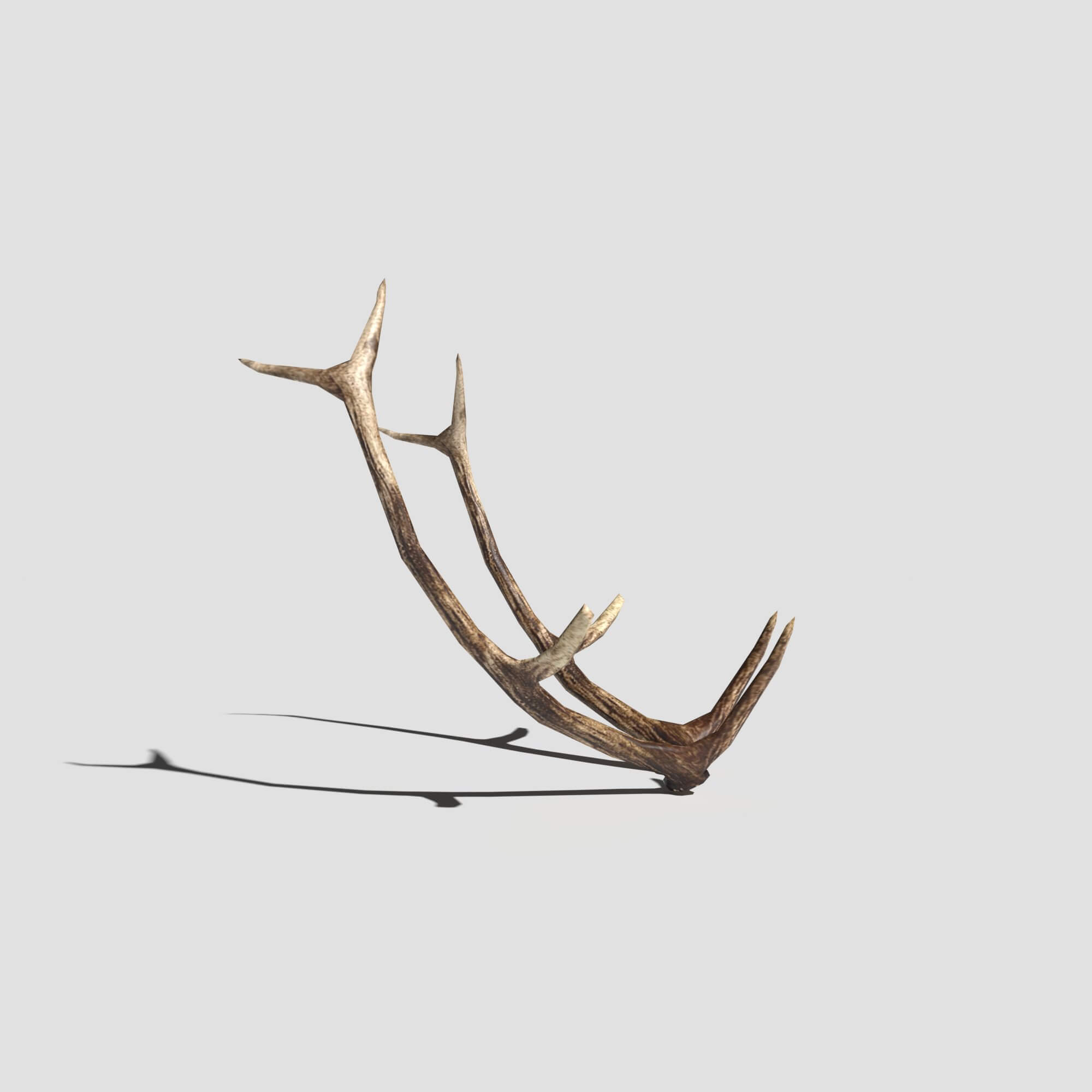 Antlers - 3D Model by kambur
