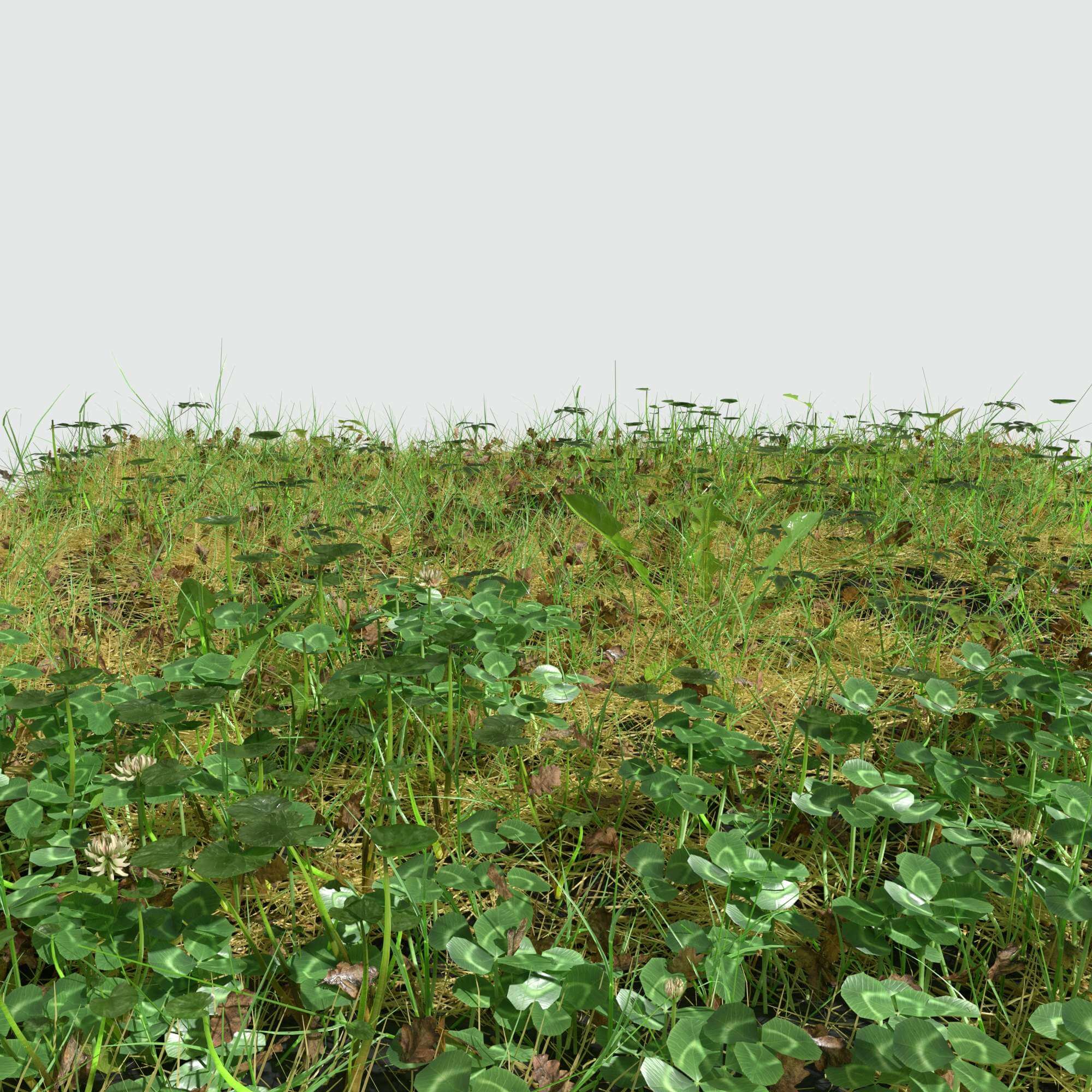 Ashweed Meadow Patch - 3D Model by kambur