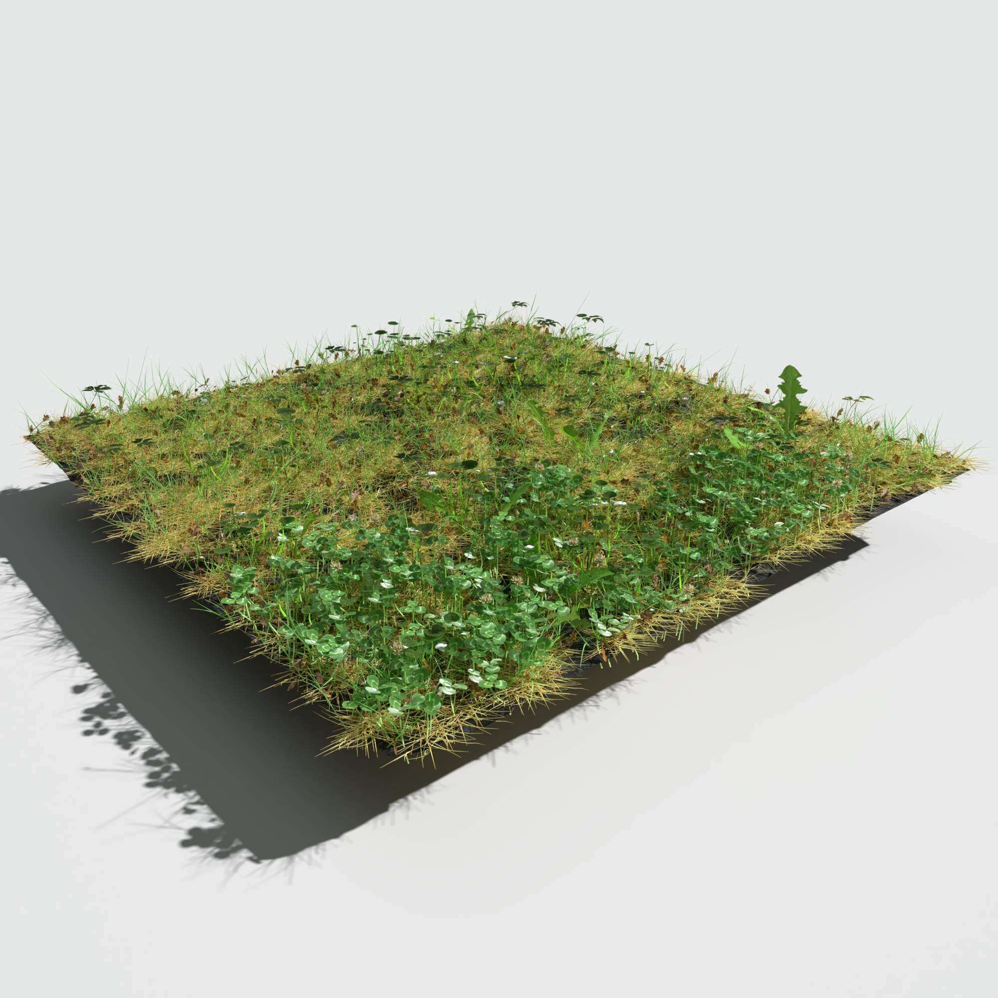 Ashweed Meadow Patch - 3D Model by kambur