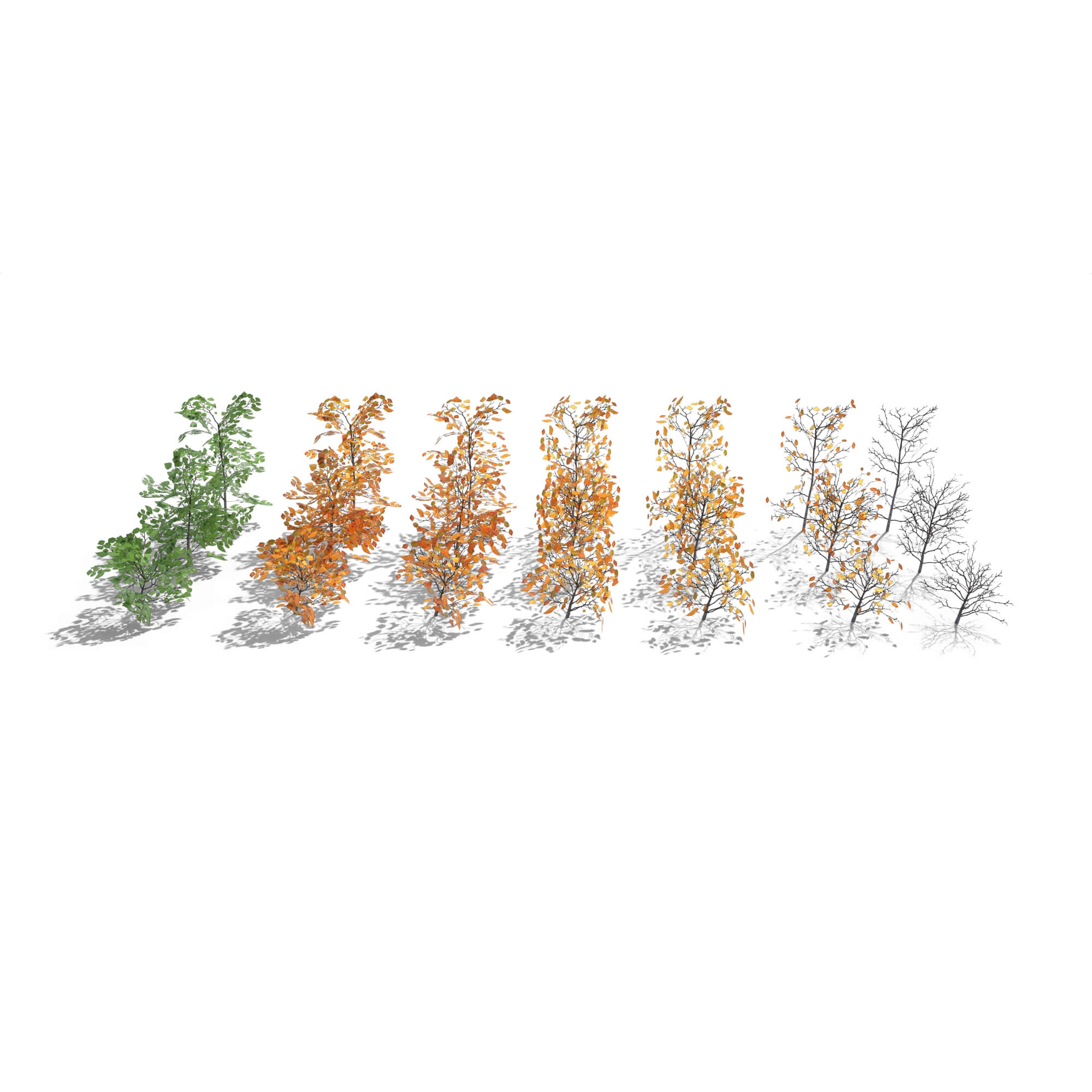 Birch Shrubs Pack - 3D Model by kambur