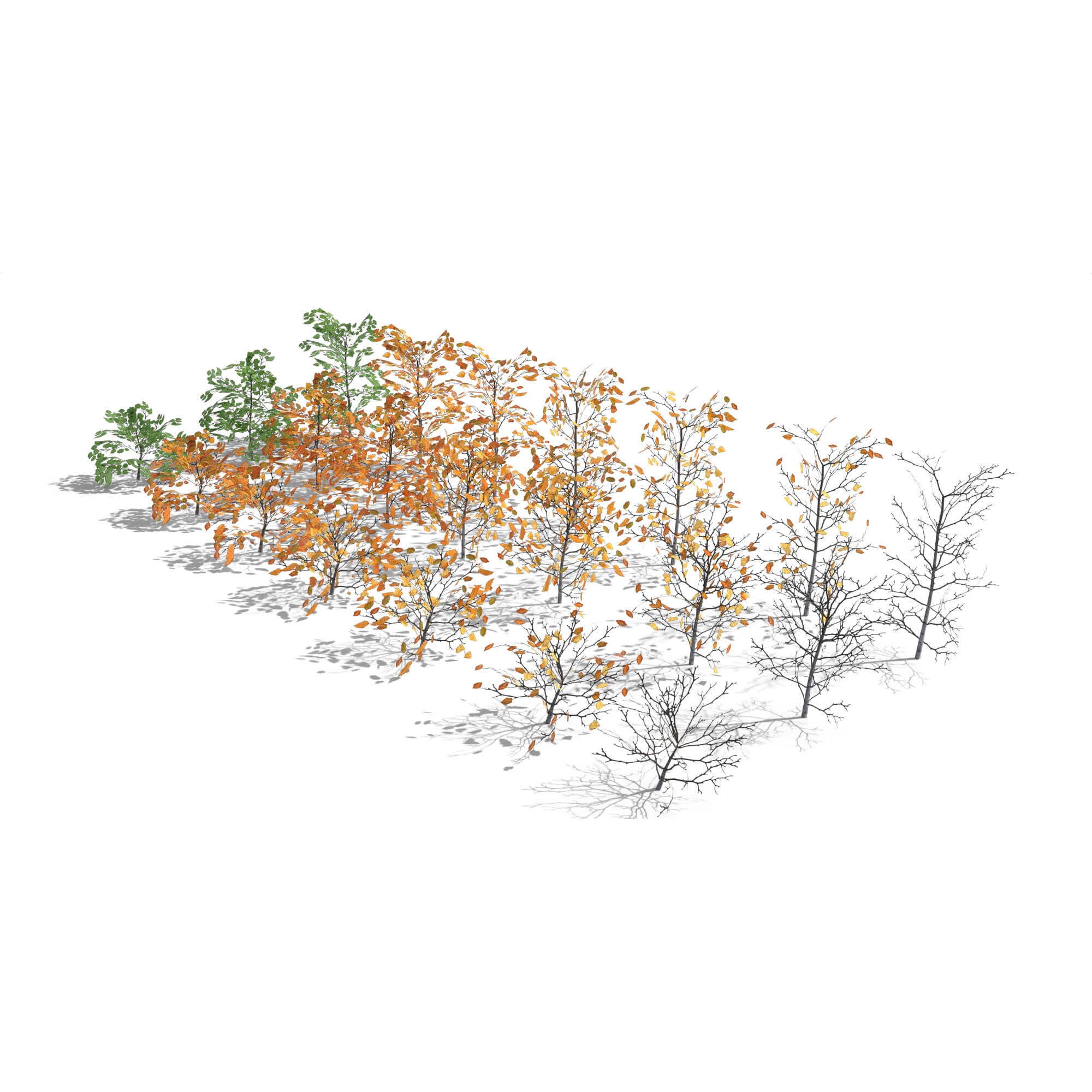 Birch Shrubs Pack - 3D Model by kambur