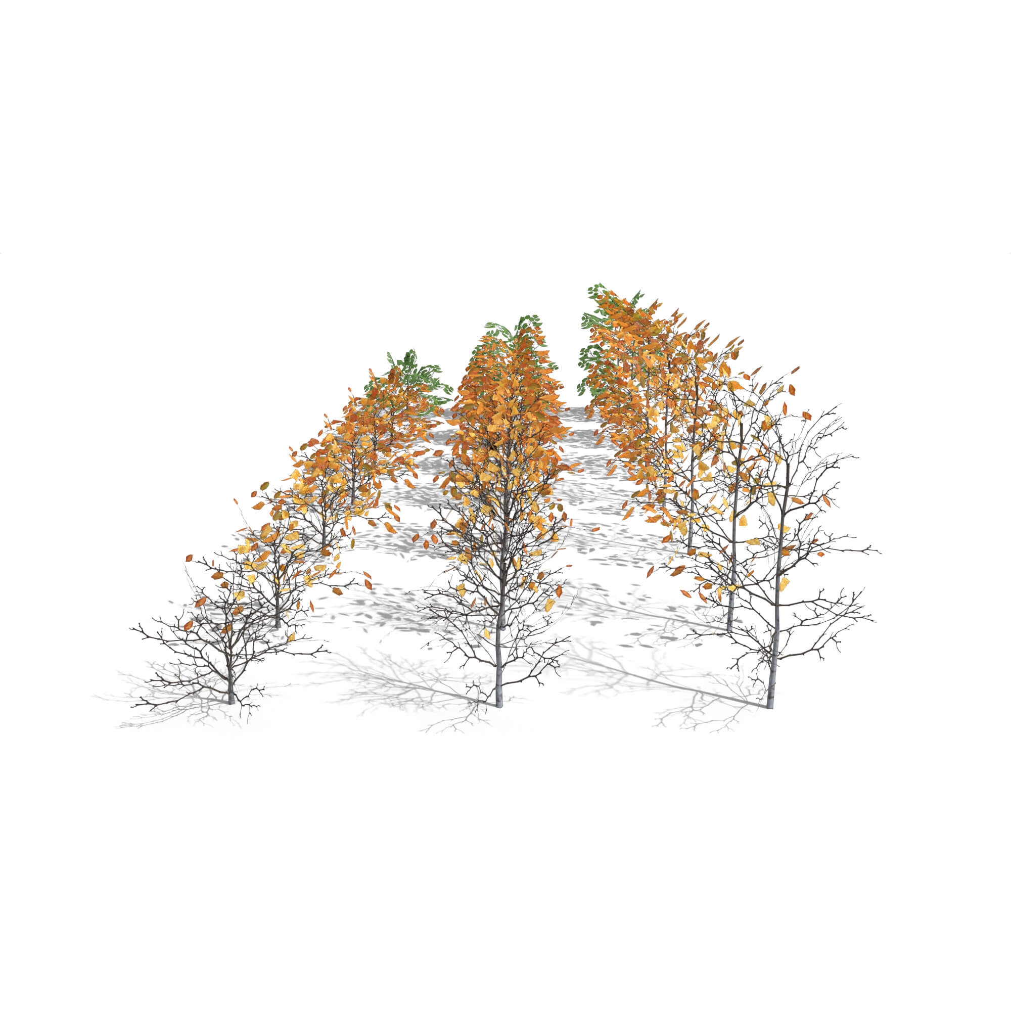 Birch Shrubs Pack - 3D Model by kambur