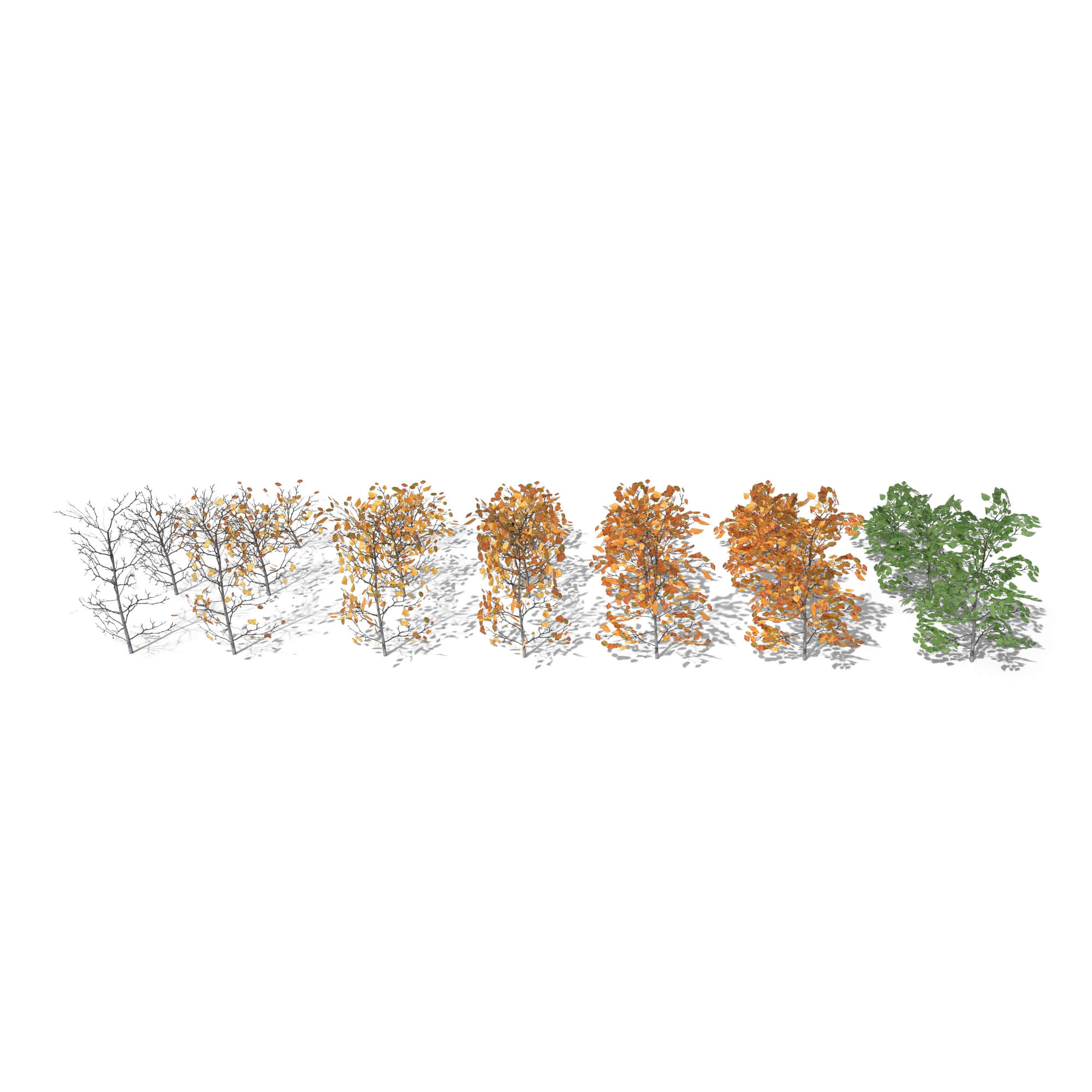 Birch Shrubs Pack - 3D Model by kambur