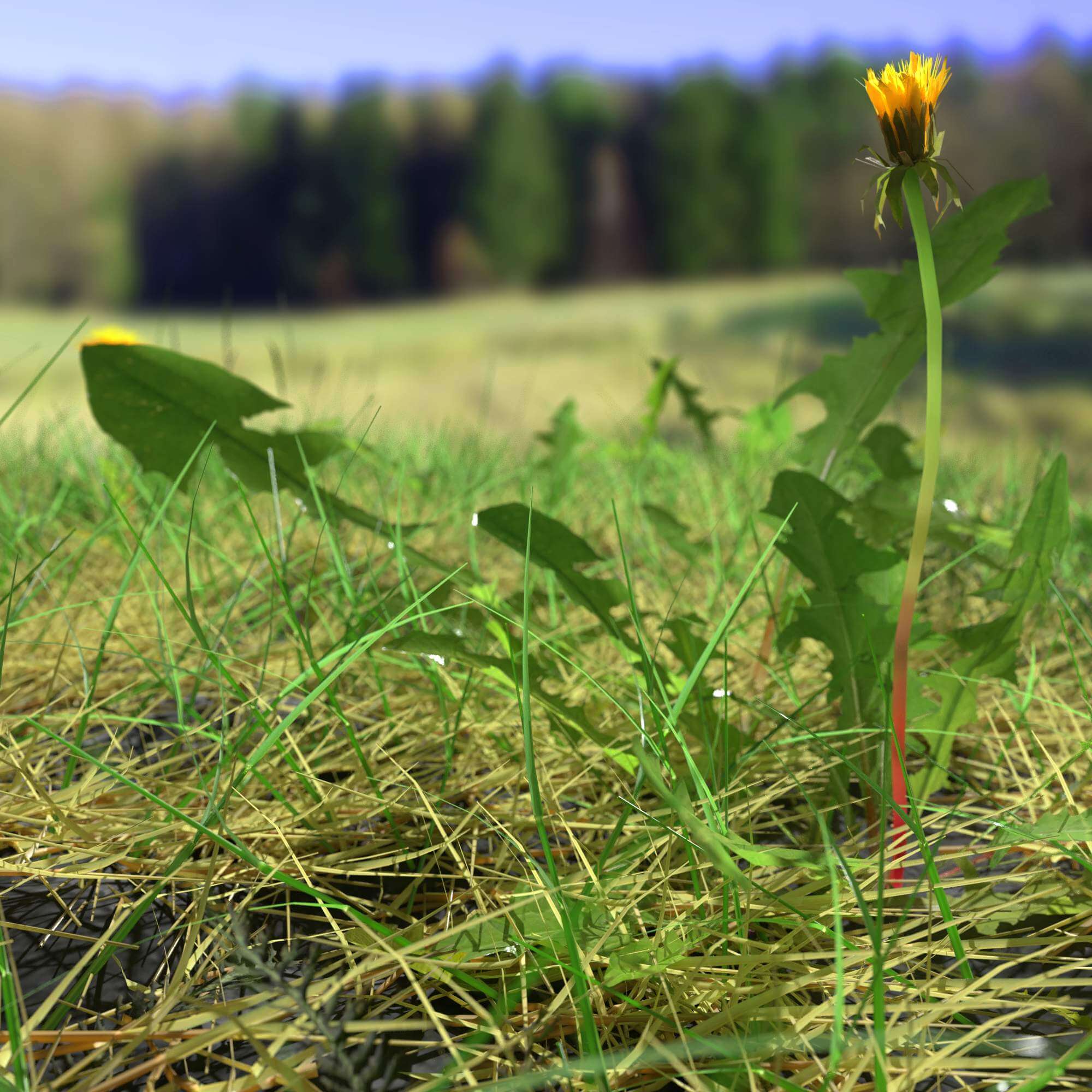 Bloodwort Meadow Patch - 3D Model by kambur
