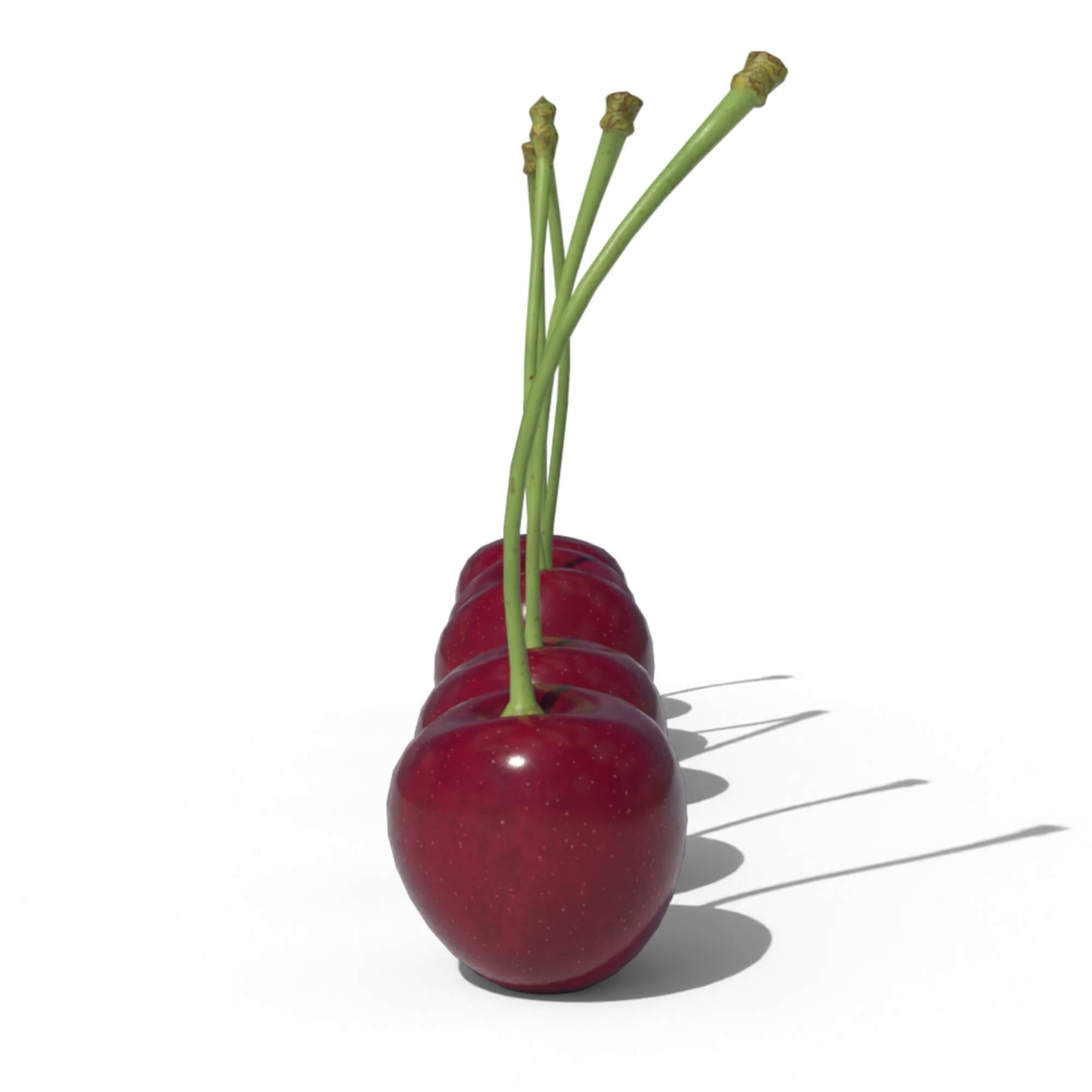 Cherries with Stems - 3D Model by kambur