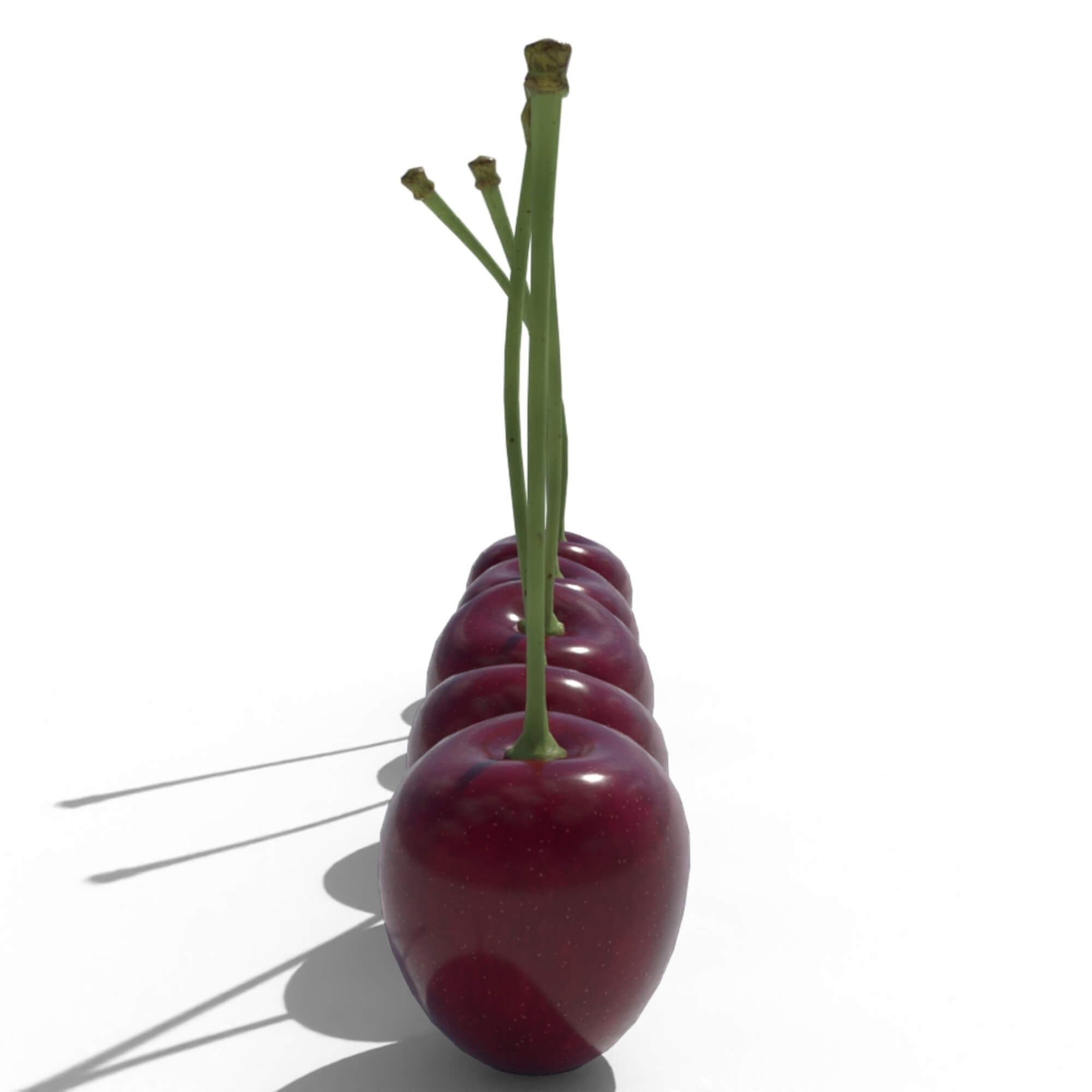 Cherries with Stems - 3D Model by kambur