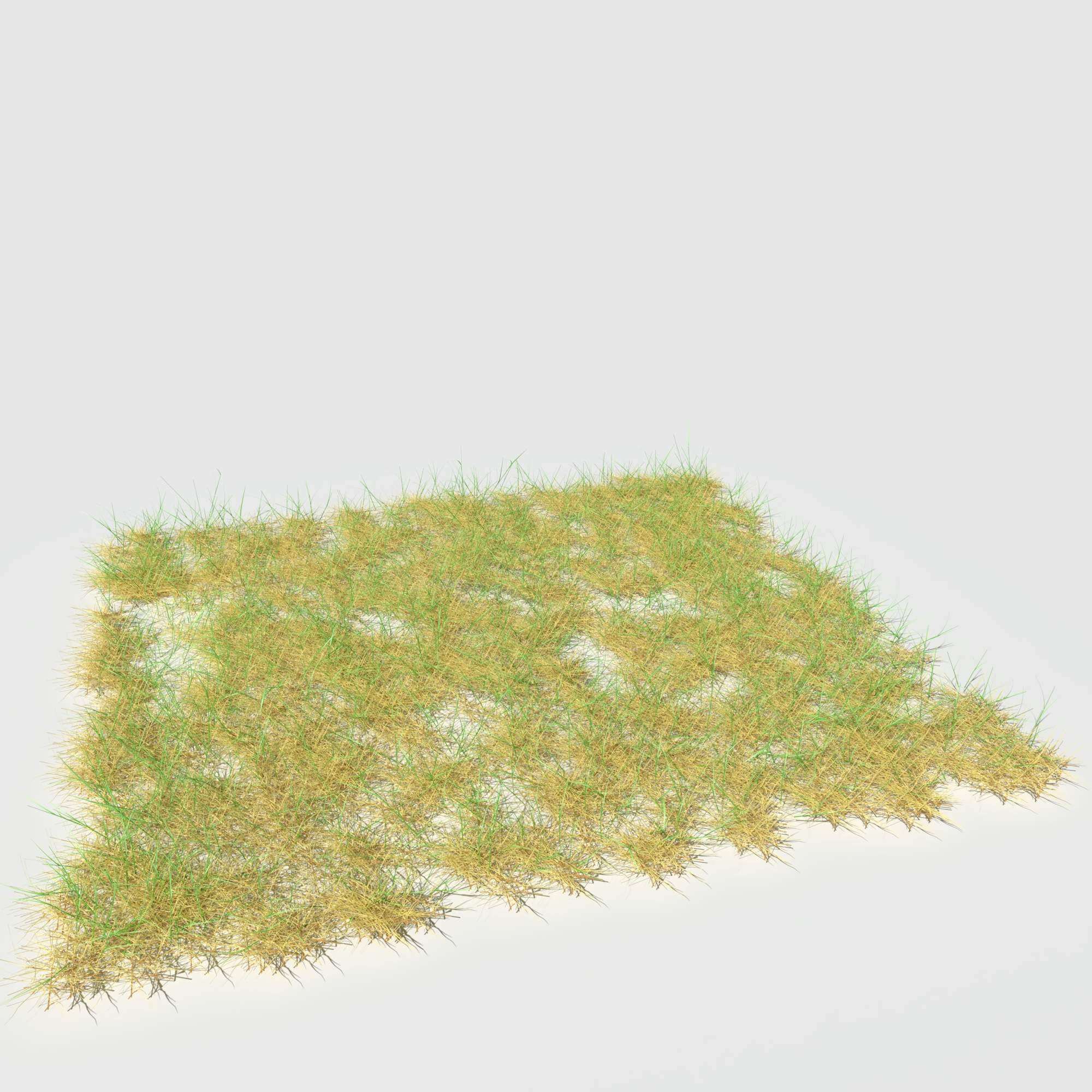 Clover Meadow Patch - 3D Model by kambur