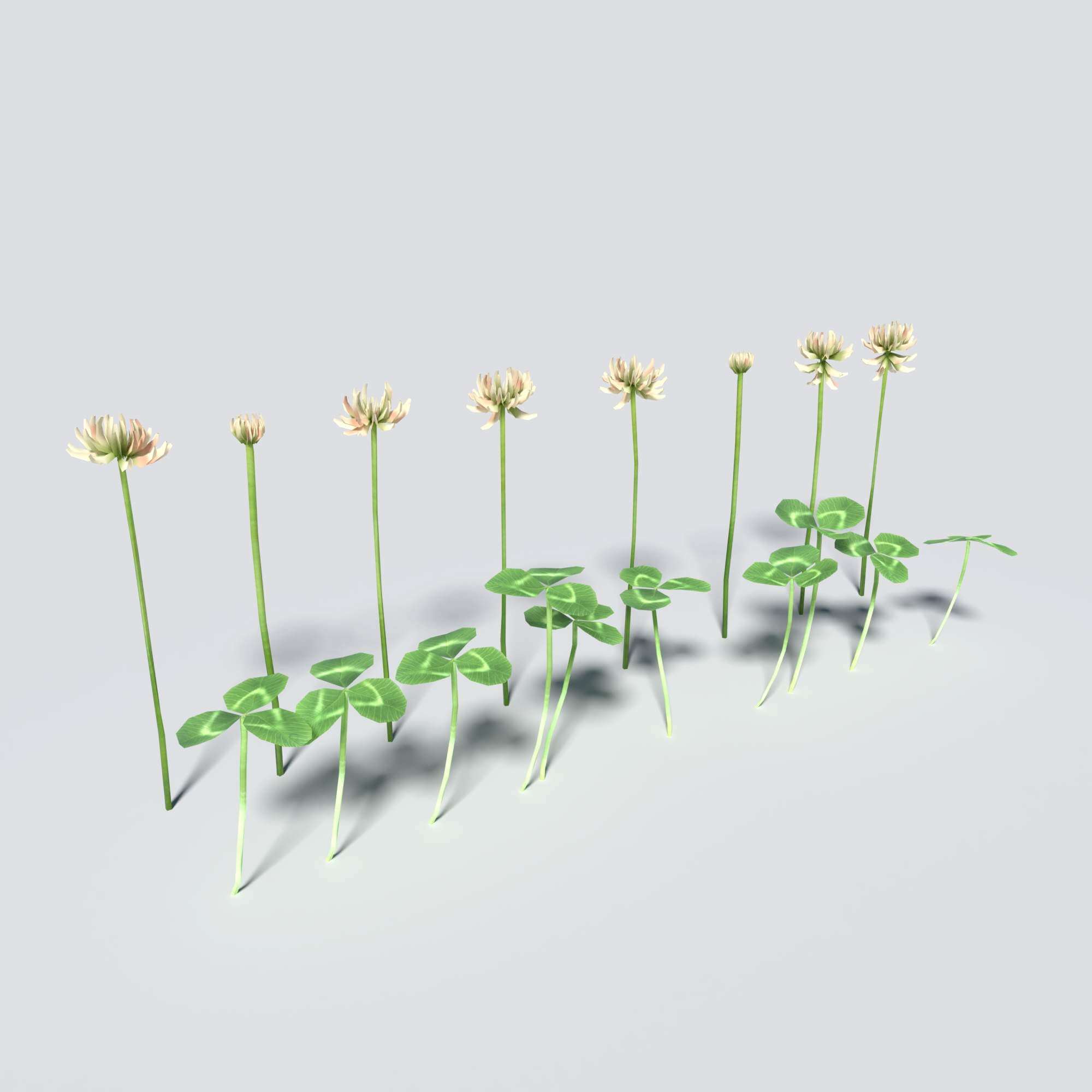 Clover Pack - Free 3D Model by kambur