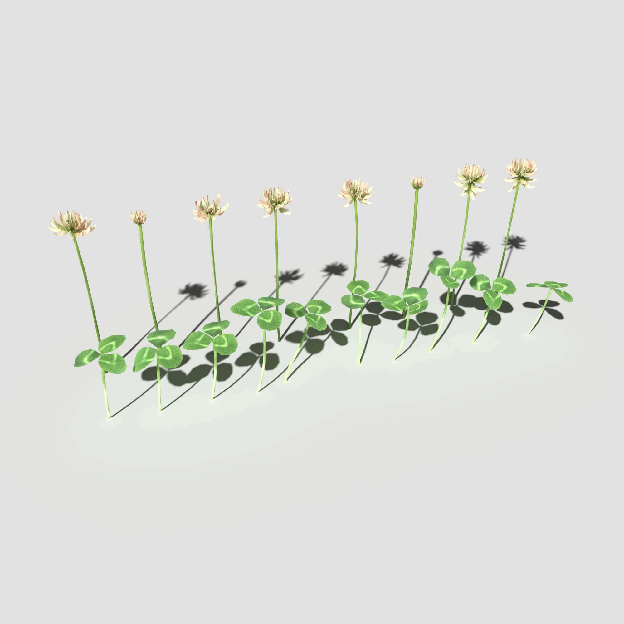 Clover Pack - Free 3D Model by kambur