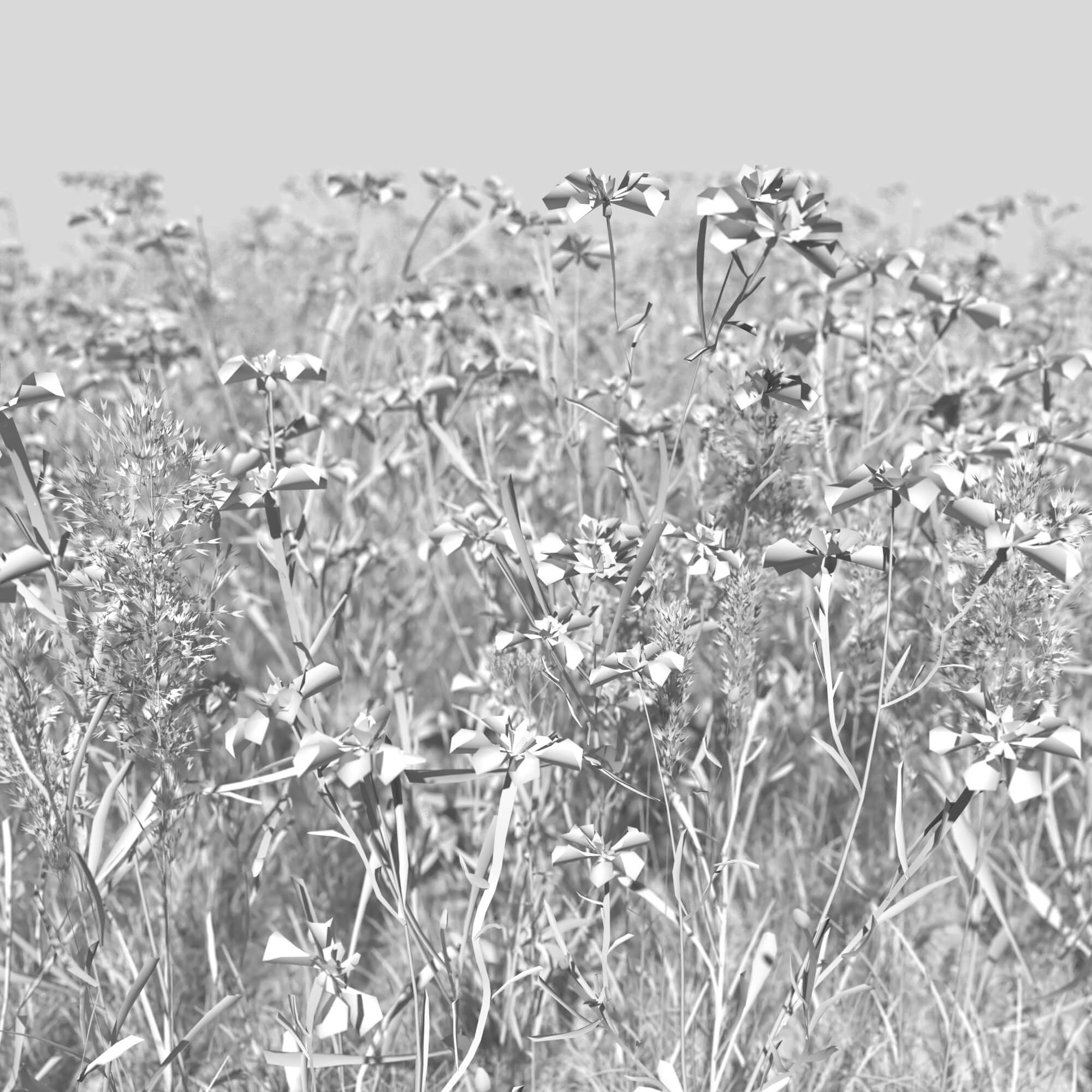 Cornflower Meadow Patch - 3D Model by kambur