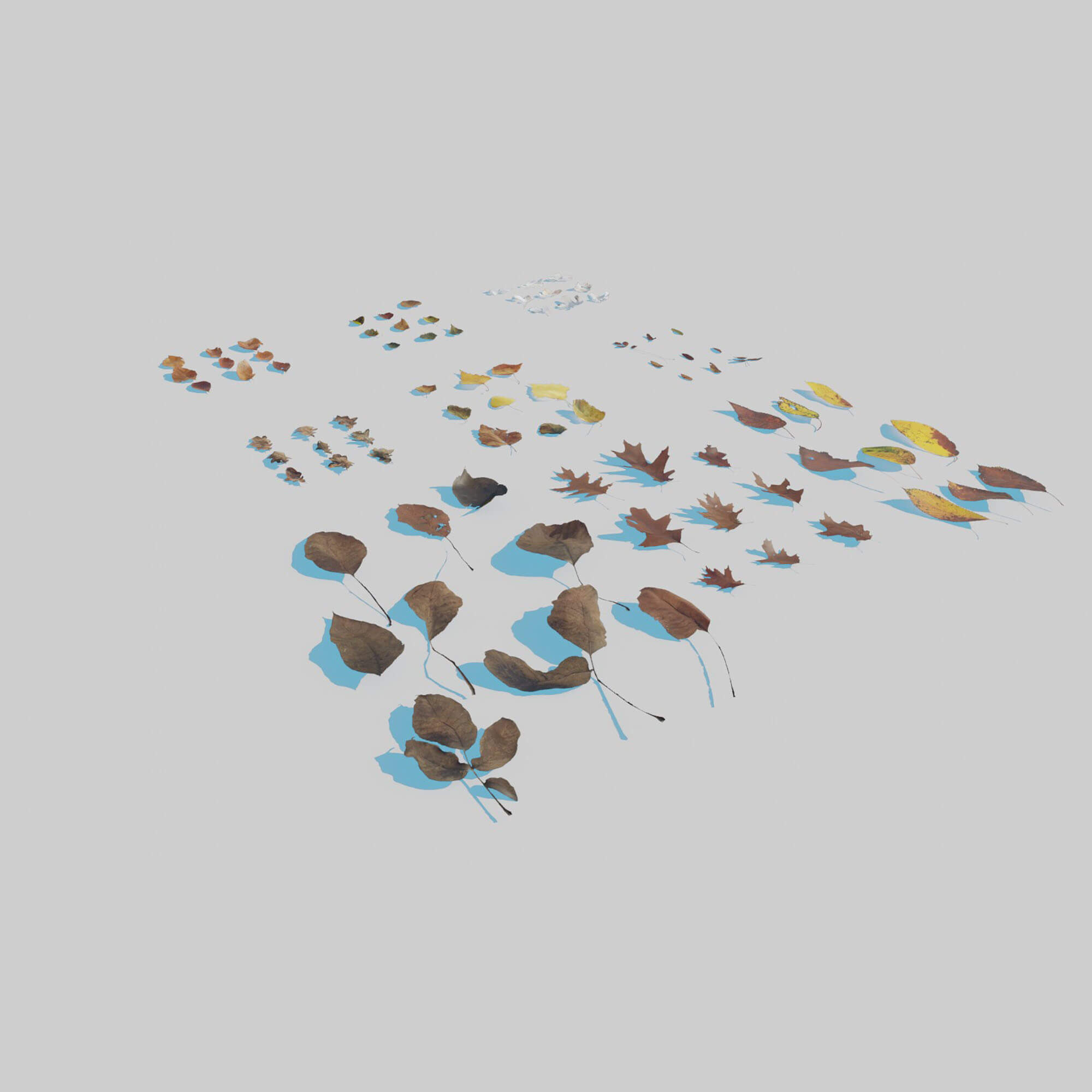 Dry Leaves Pack - 3D Model by kambur