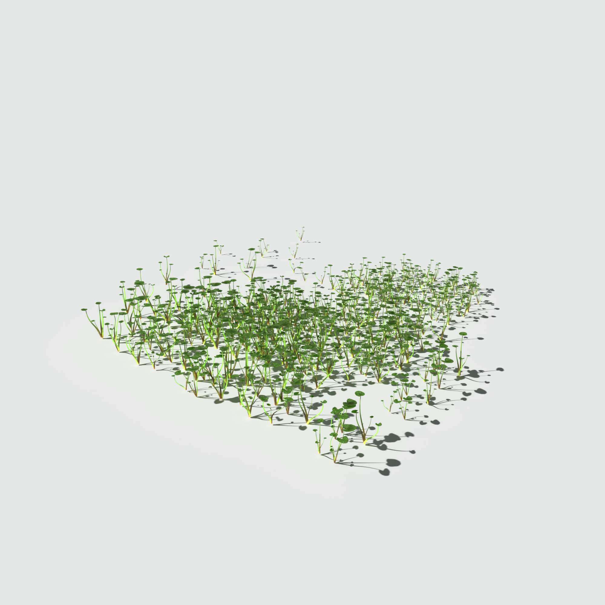 Fig Buttercup Meadow Patch - 3D Model by kambur