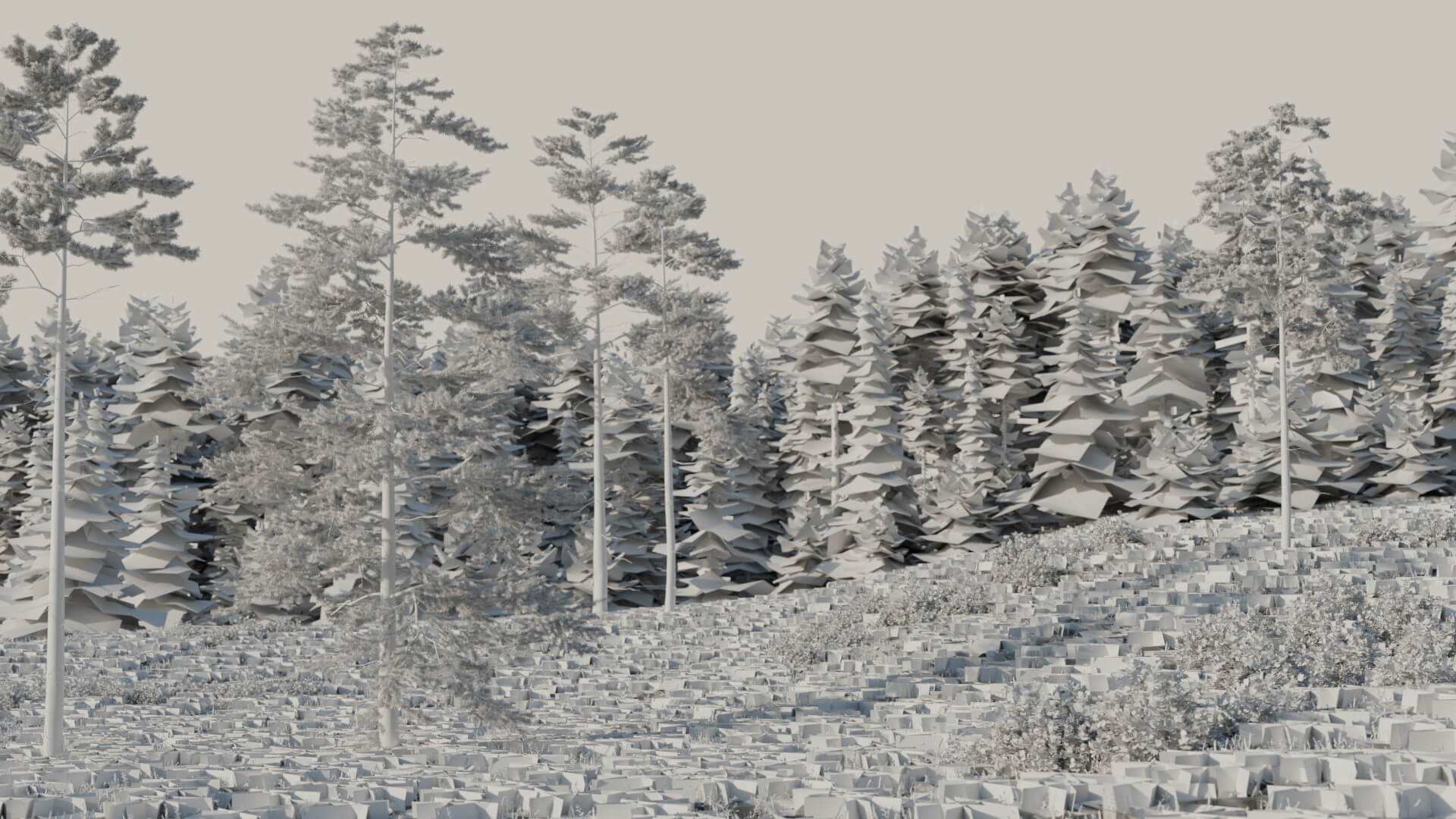 Spruce Trees 3D Render, Digital Art by kambur
