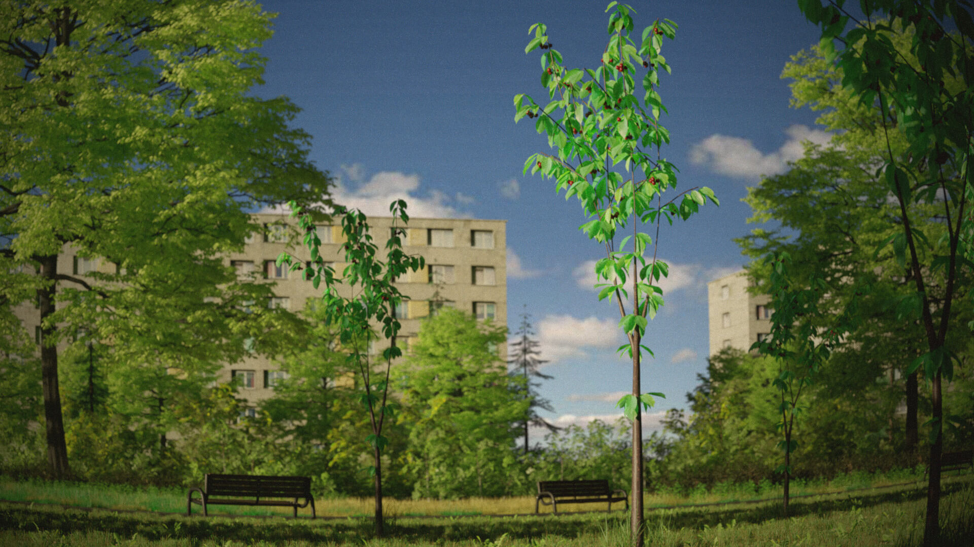 Young Cherry Trees 3D Render, Digital Art by kambur