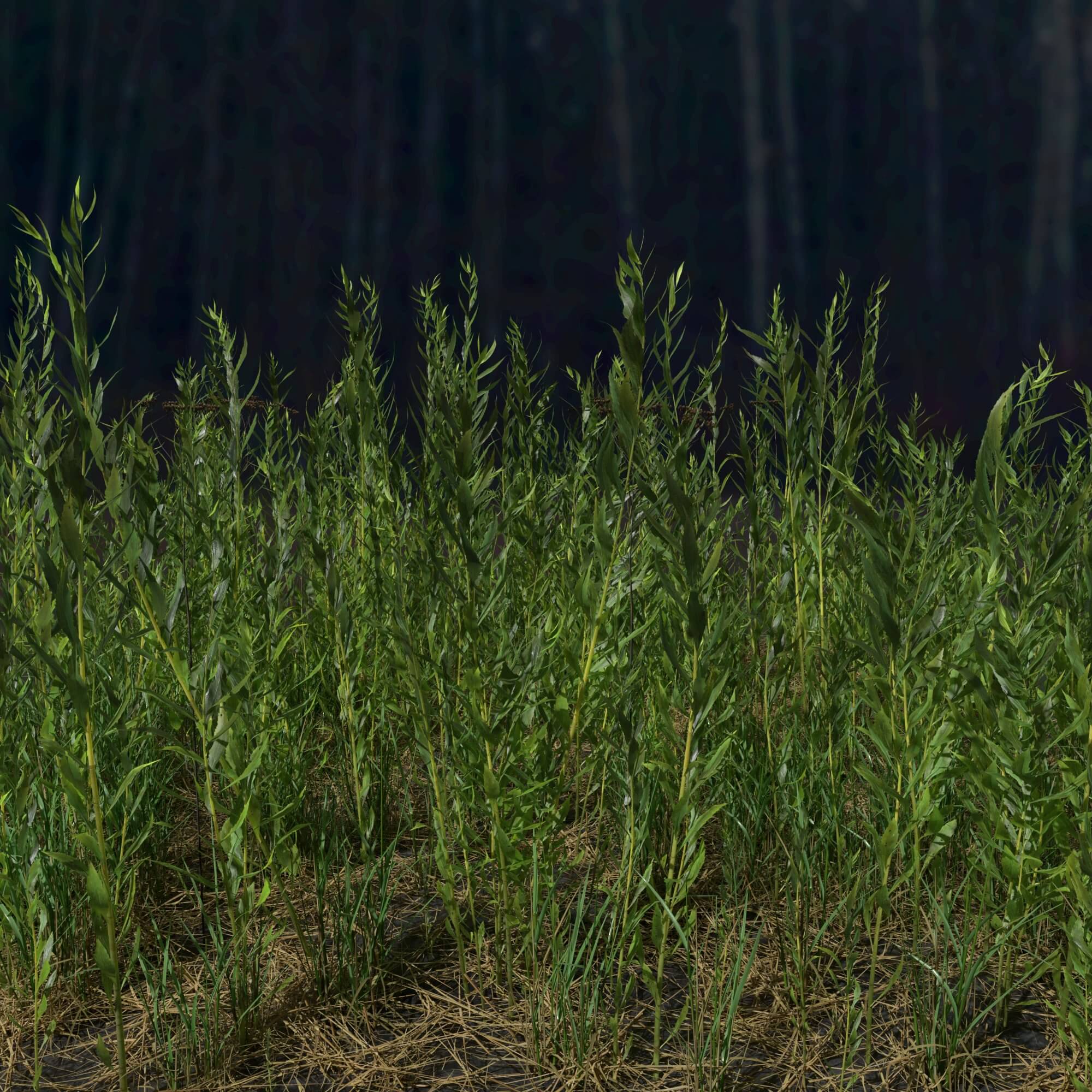 Goldenrod Meadow Patch - 3D Model by kambur