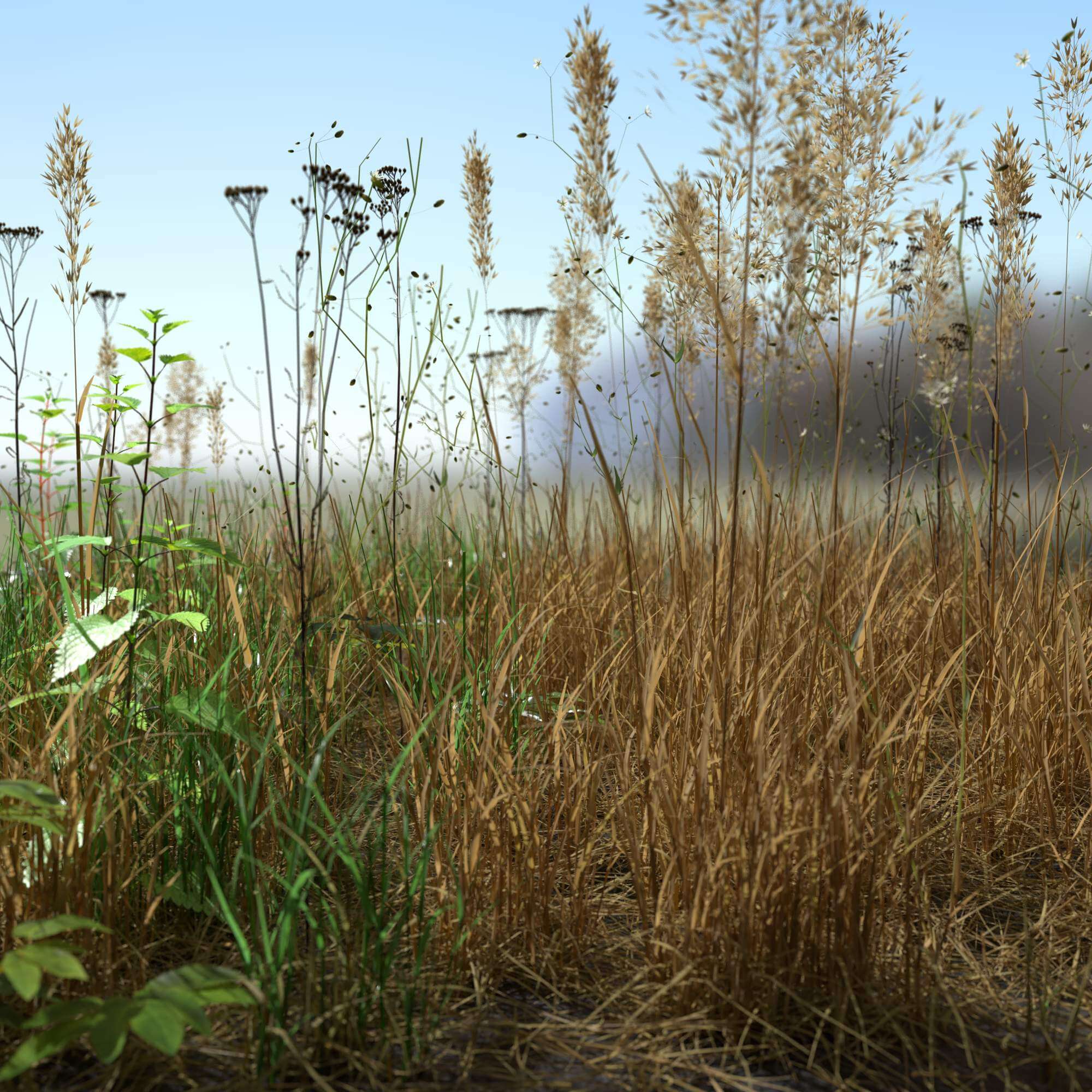 Grass Leaf Starwort Meadow Patch - 3D Model by kambur