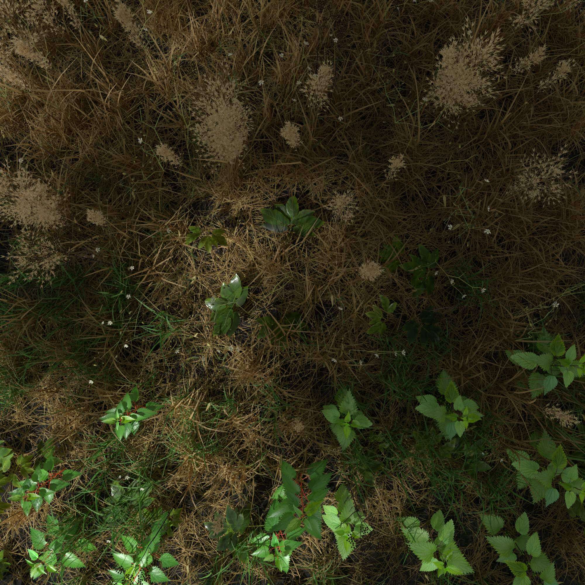Grass Leaf Starwort Meadow Patch - 3D Model by kambur