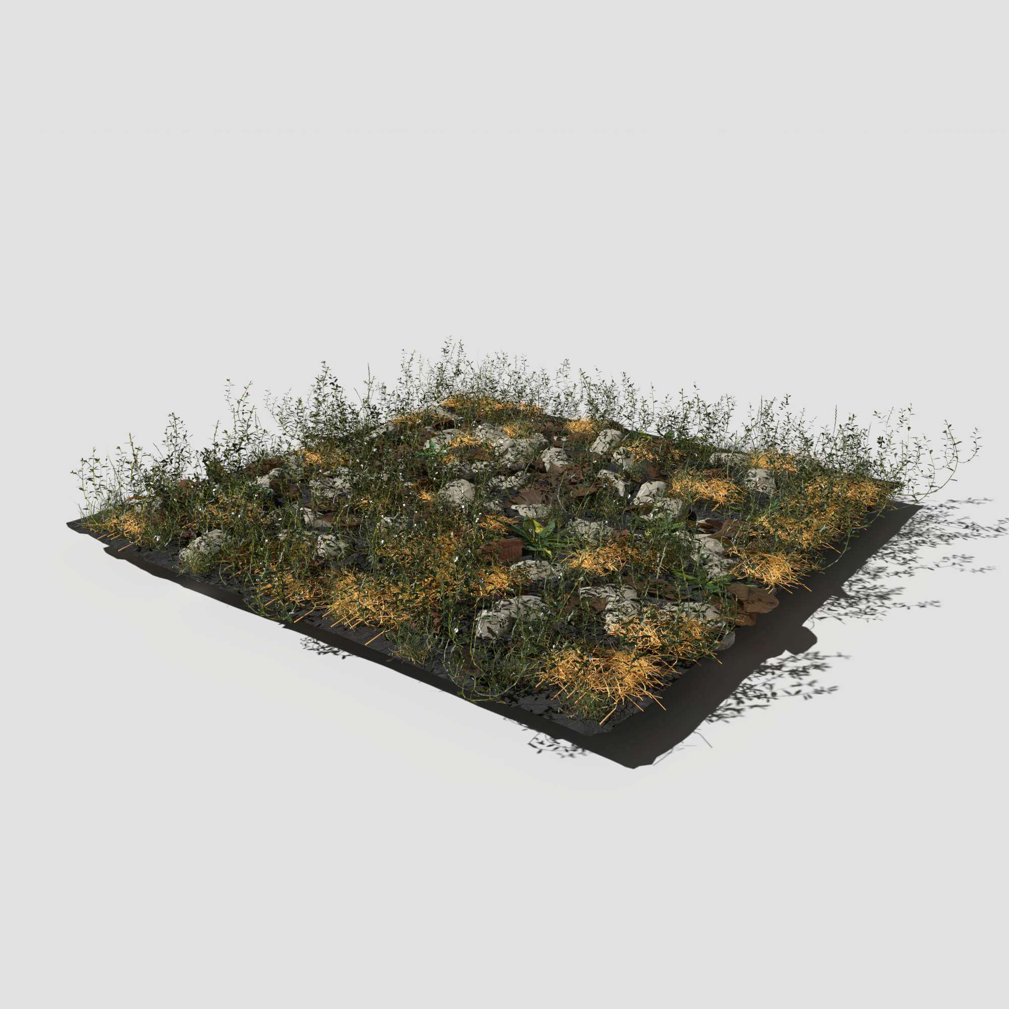 Knotweed Meadow Patch - 3D Model by kambur