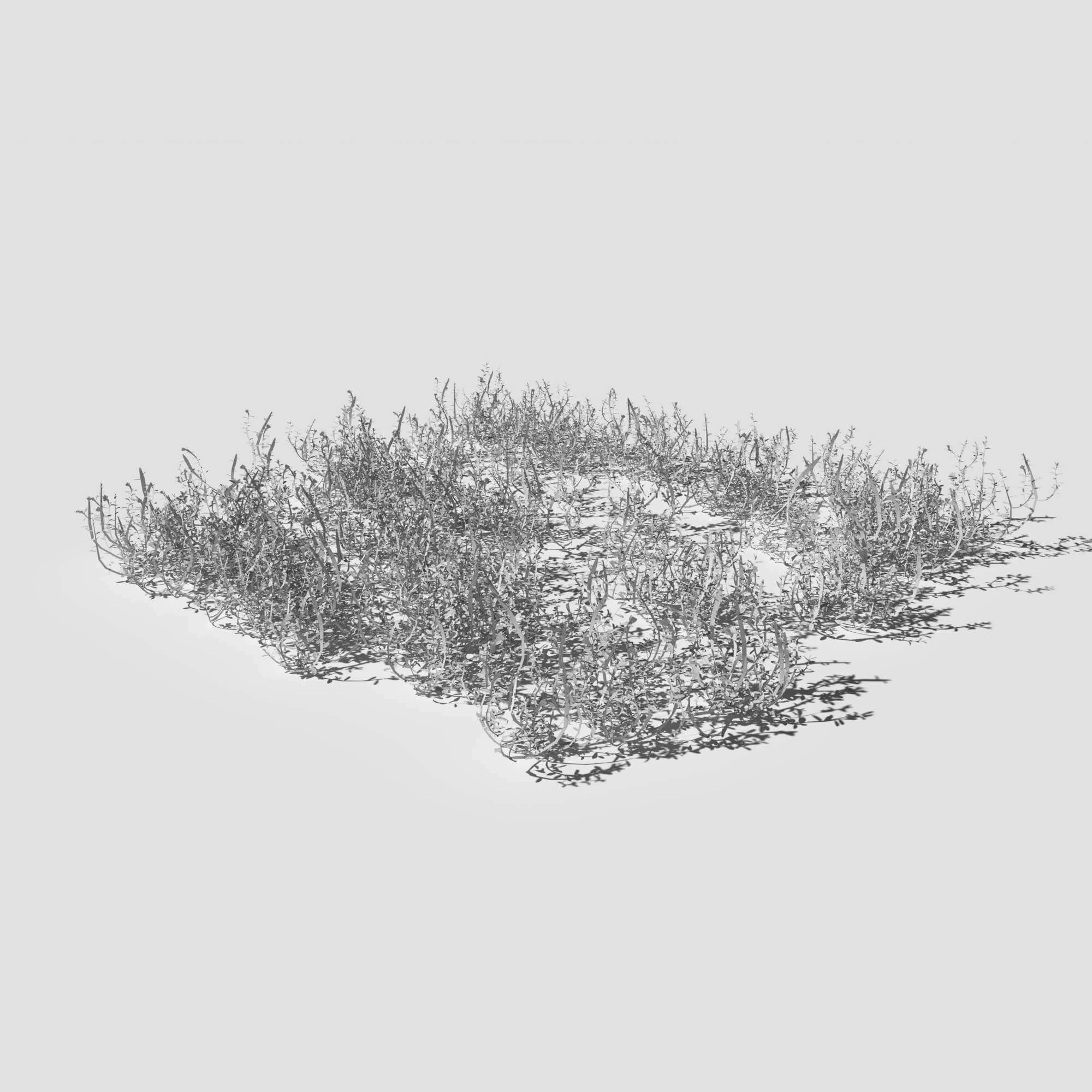 Knotweed Meadow Patch - 3D Model by kambur