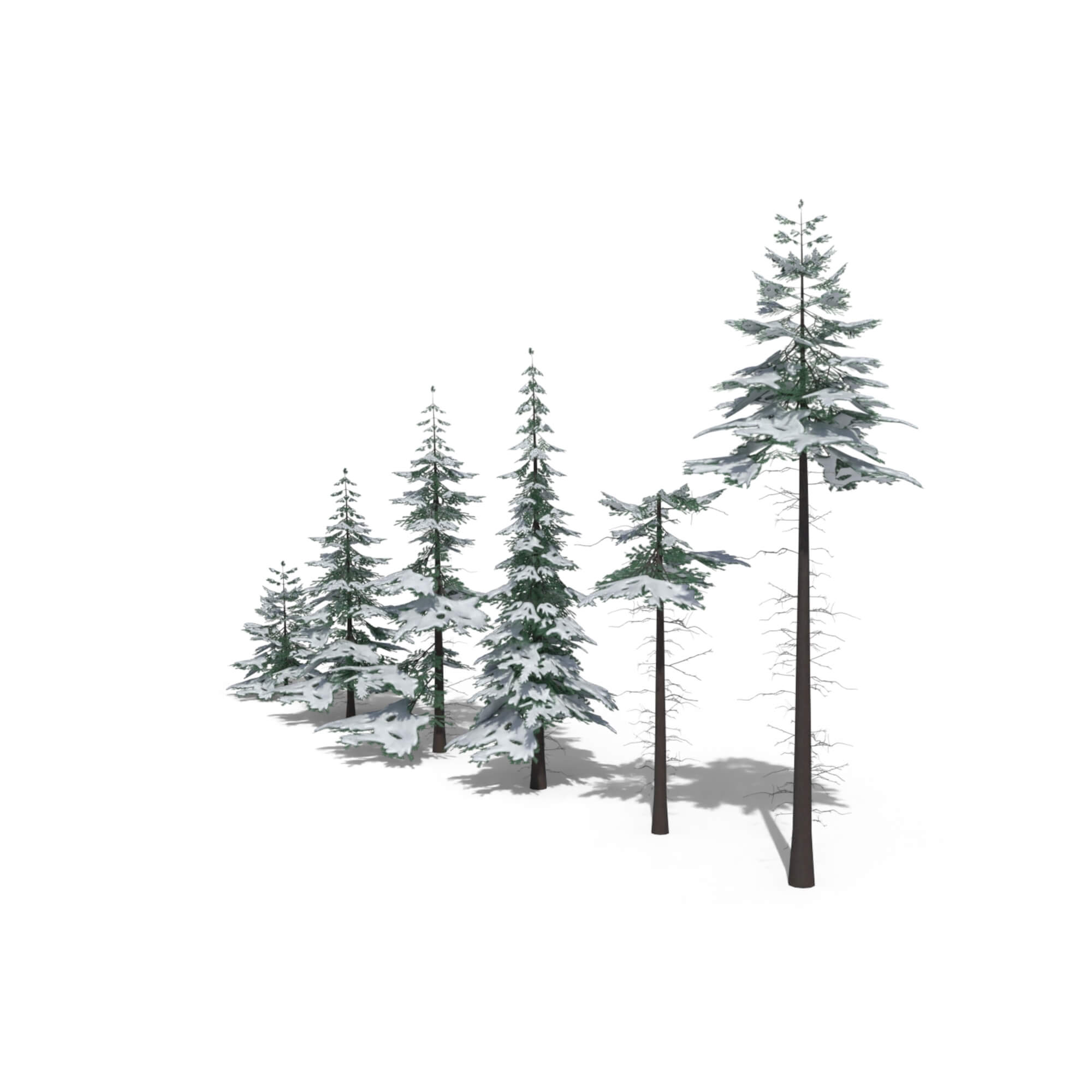 Low Poly Snowy Spruce Tree Pack - 3D Model by kambur
