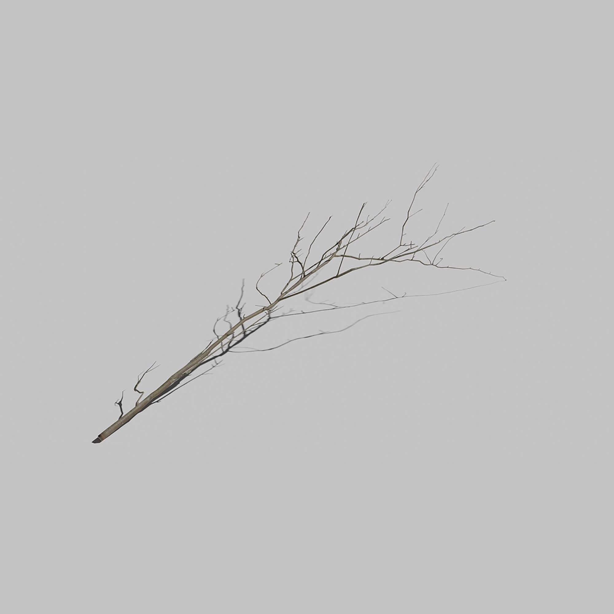 Mountain Ash Branch - 3D Model by kambur