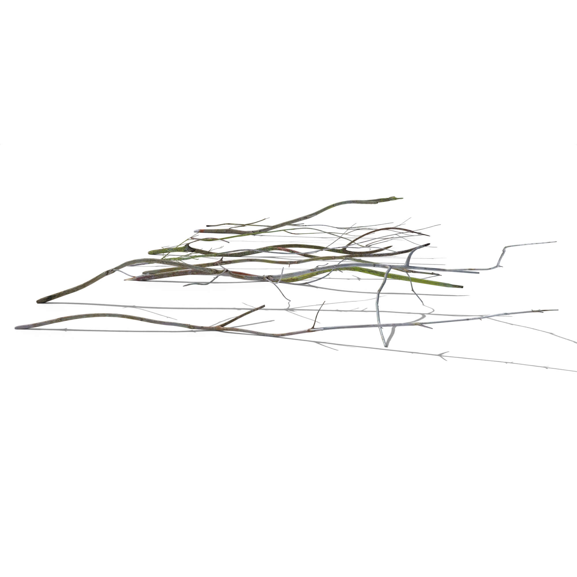 Spruce Twigs - 3D Model by kambur