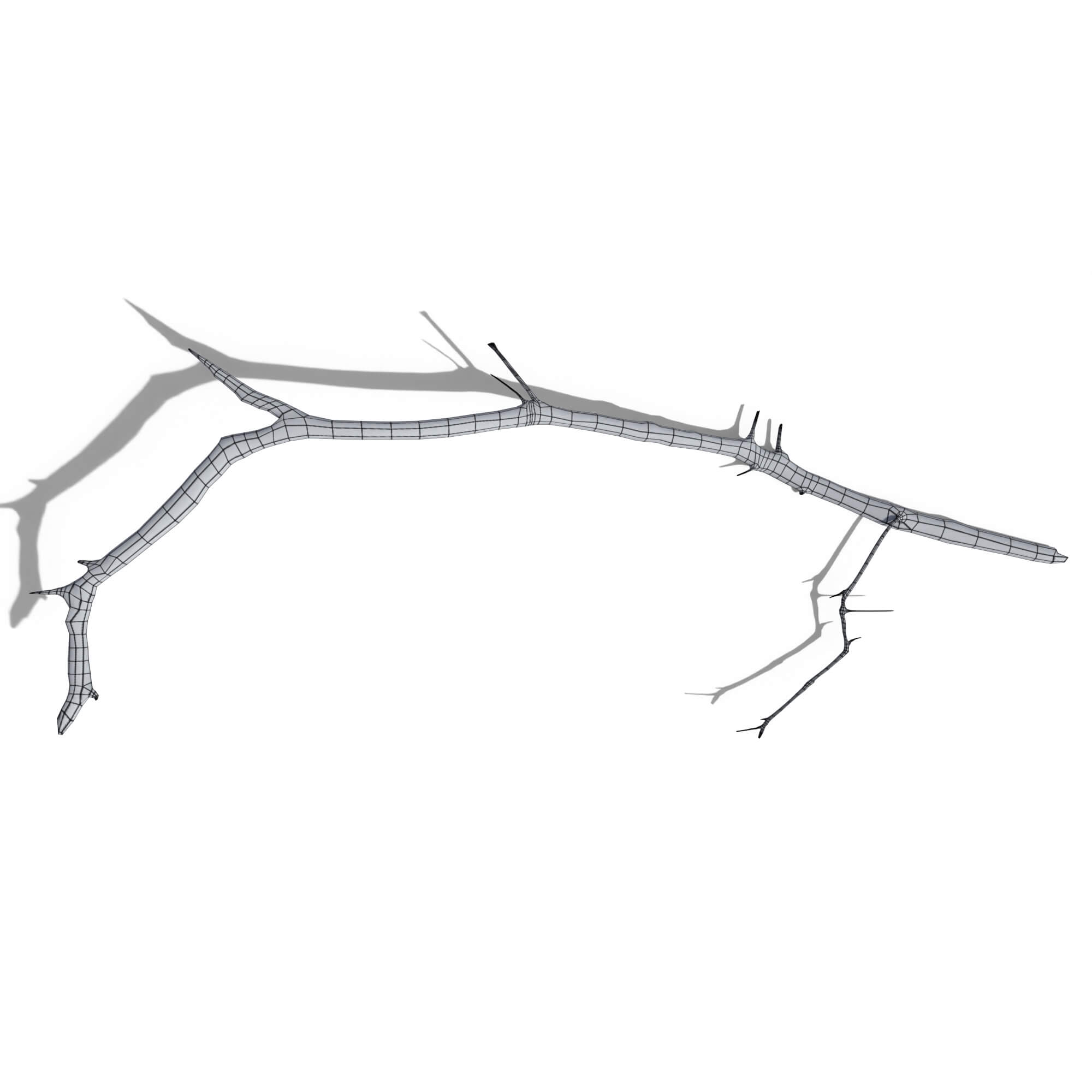 Spruce Twigs - 3D Model by kambur