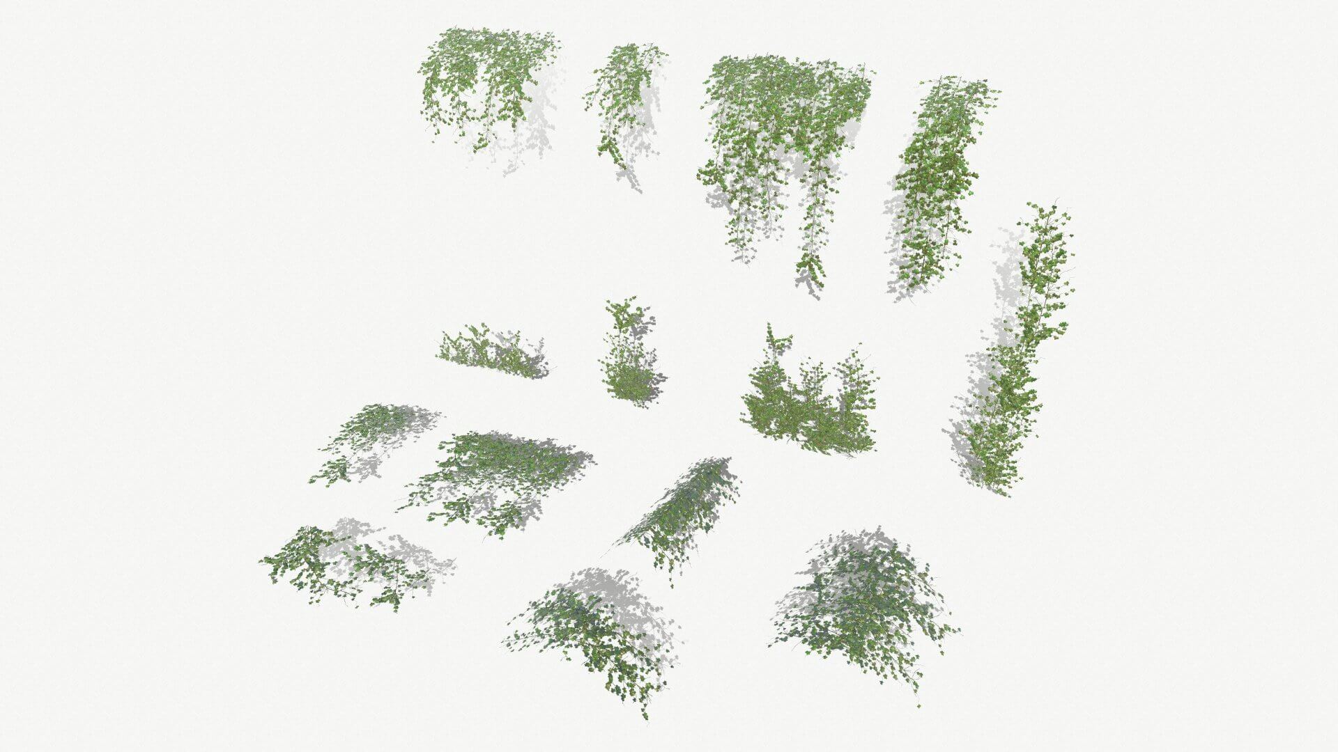 Ivy Modular Assets - 3D Model by KangaroOz 3D