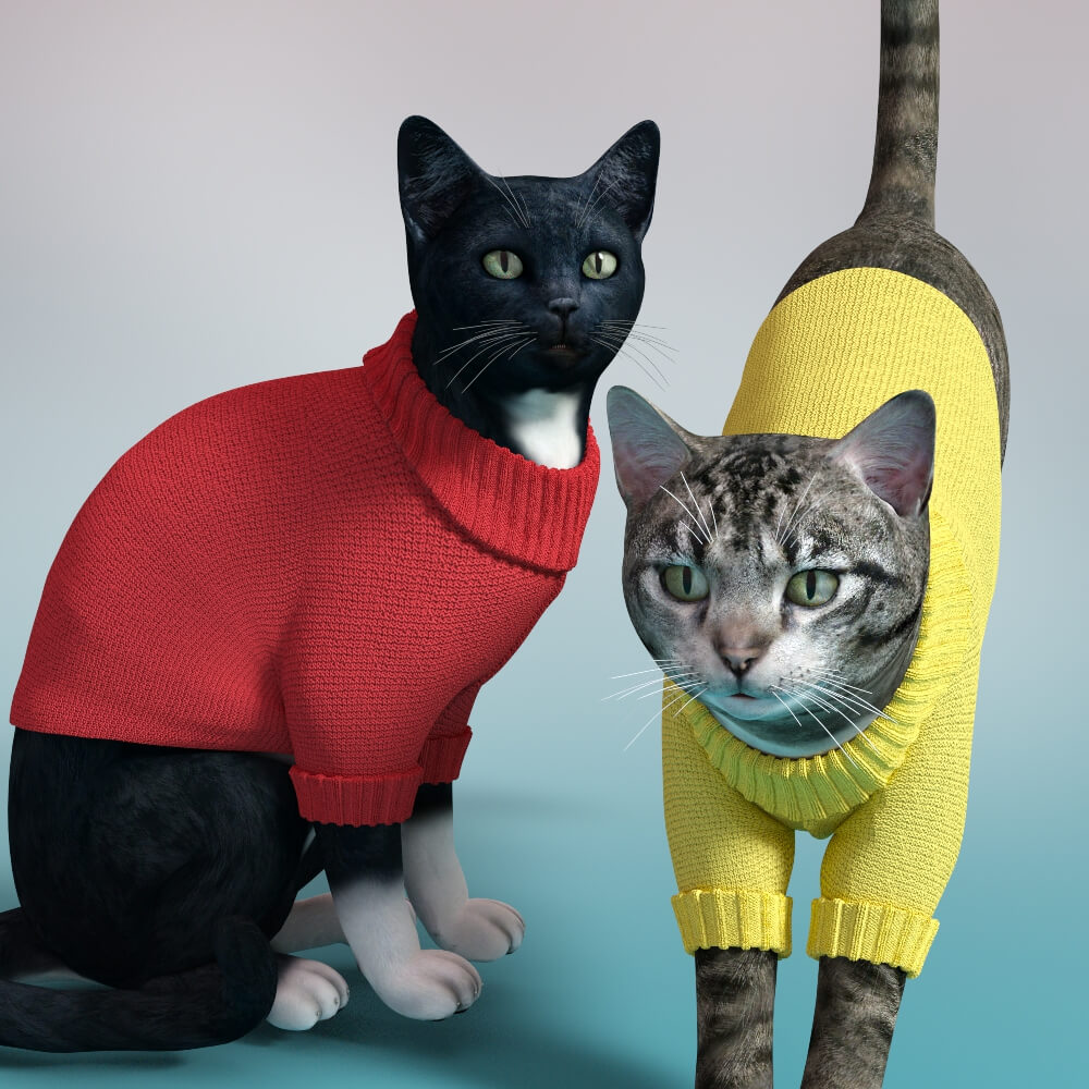 Casual Sweater DAZ House Cat by KaRe3D