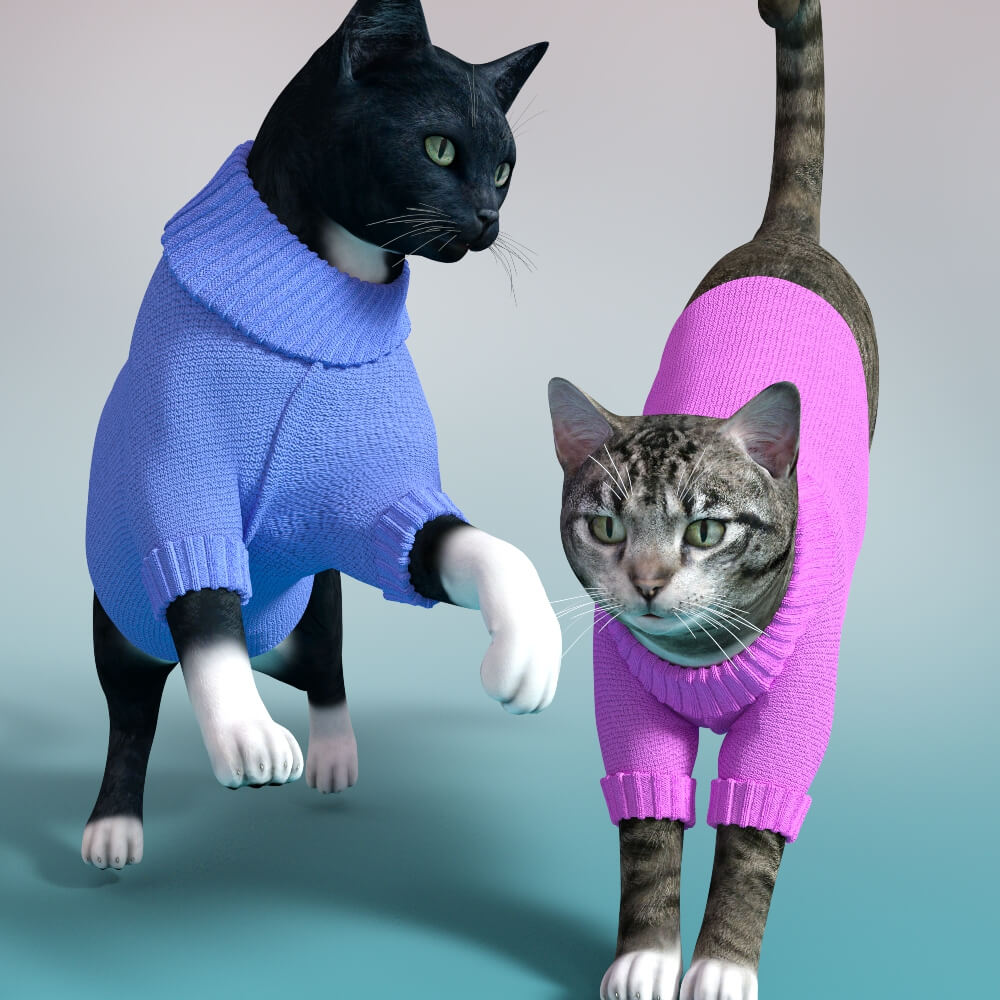 Casual Sweater DAZ House Cat by KaRe3D