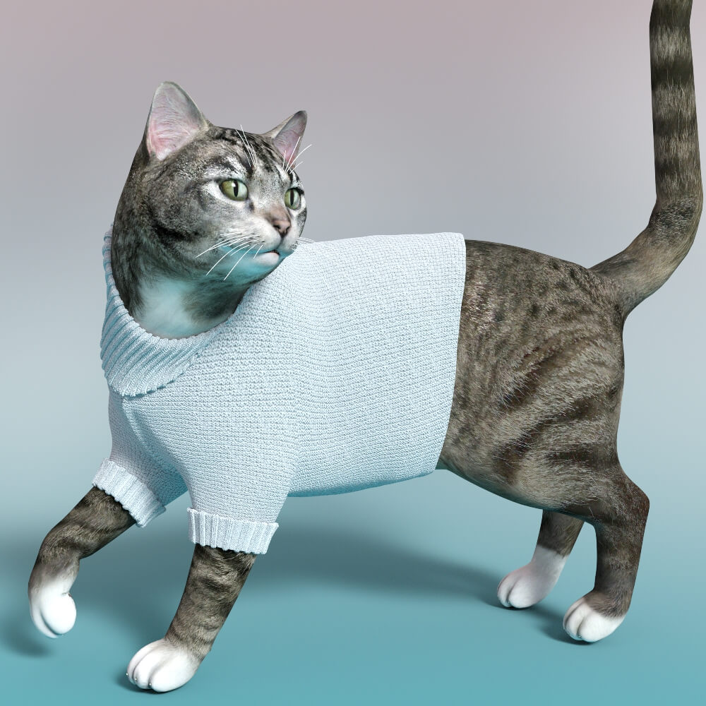 Casual Sweater DAZ House Cat by KaRe3D
