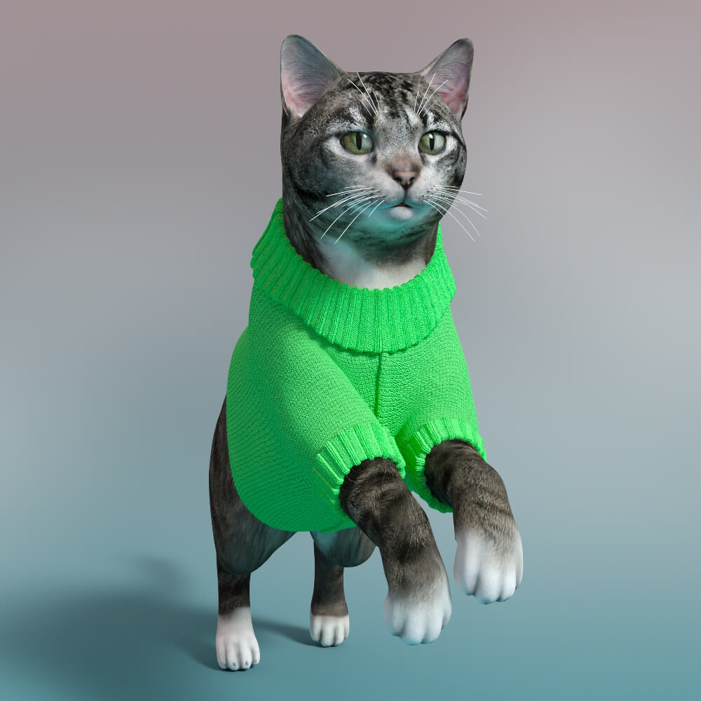 Casual Sweater DAZ House Cat by KaRe3D