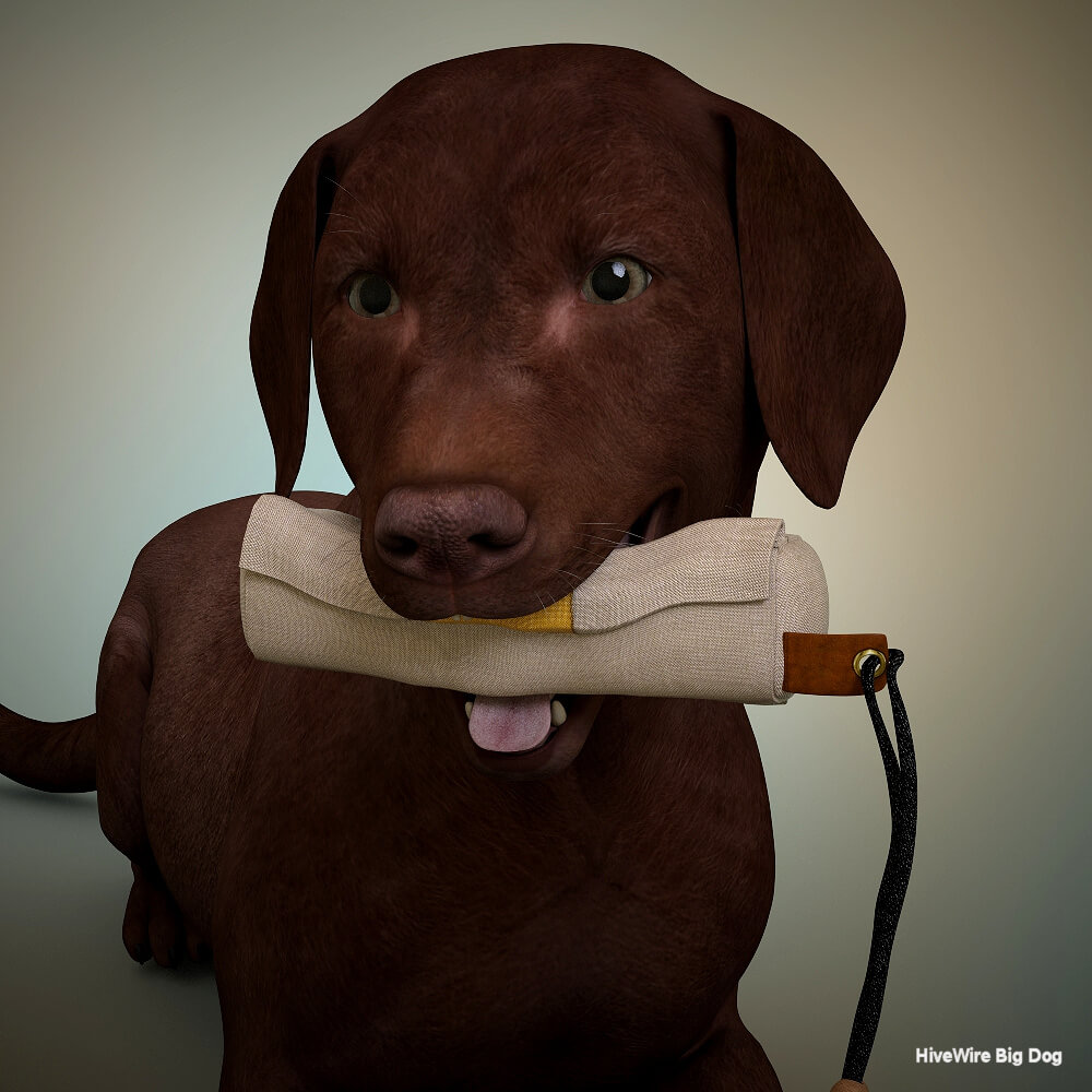 Morphable Snack Dummy Dog Prop - Daz Content by KaRe3D