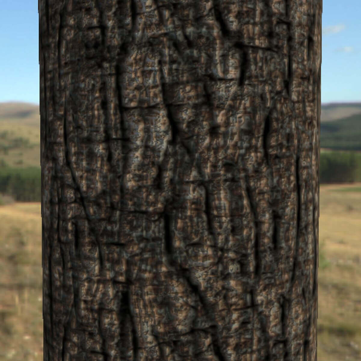 Tree Bark Seamless Texture by KDartMedia