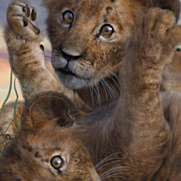 Image 37 3D Render | RenderHub Gallery