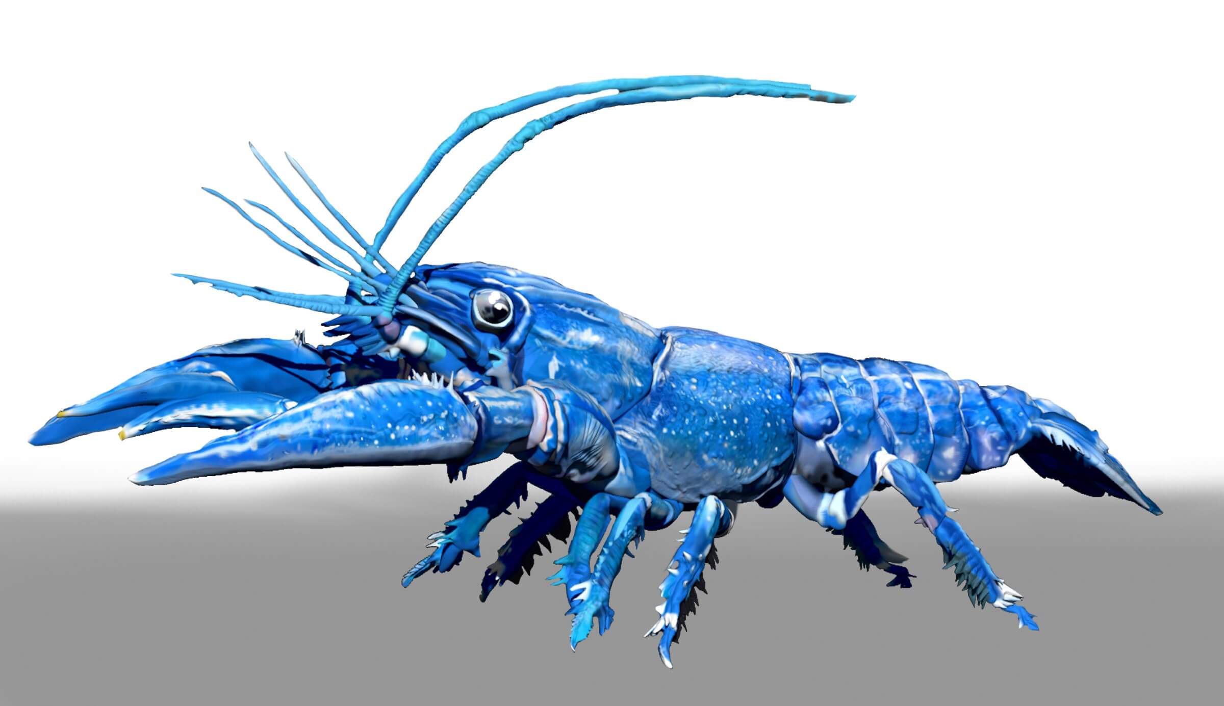 Blue Crawfish - 3D Model by KellyJohnson3DArt