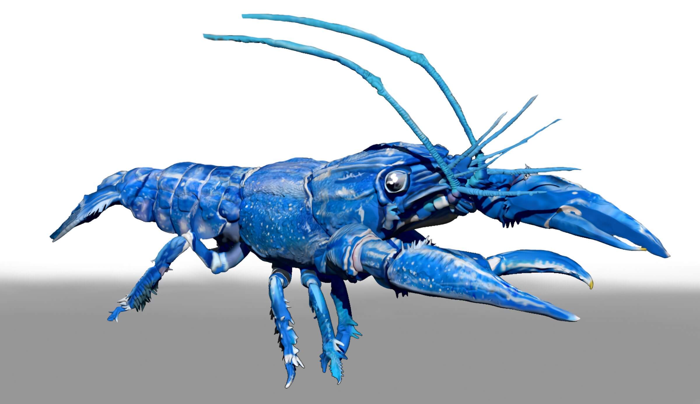 Blue Crawfish - 3D Model by KellyJohnson3DArt