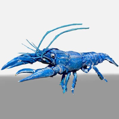Blue Crawfish - 3D Model by KellyJohnson3DArt