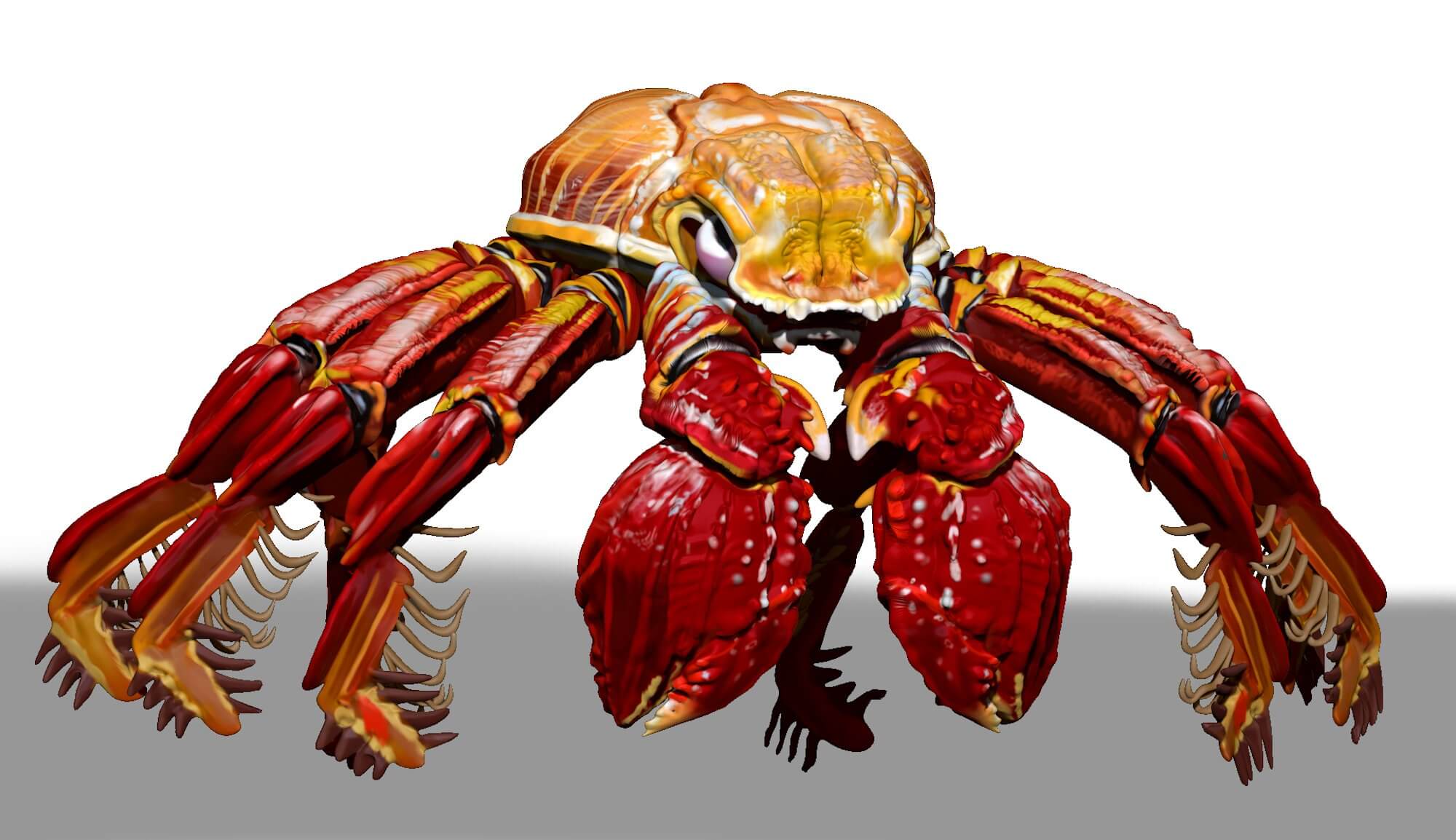 Red Crab - 3D Model by KellyJohnson3DArt
